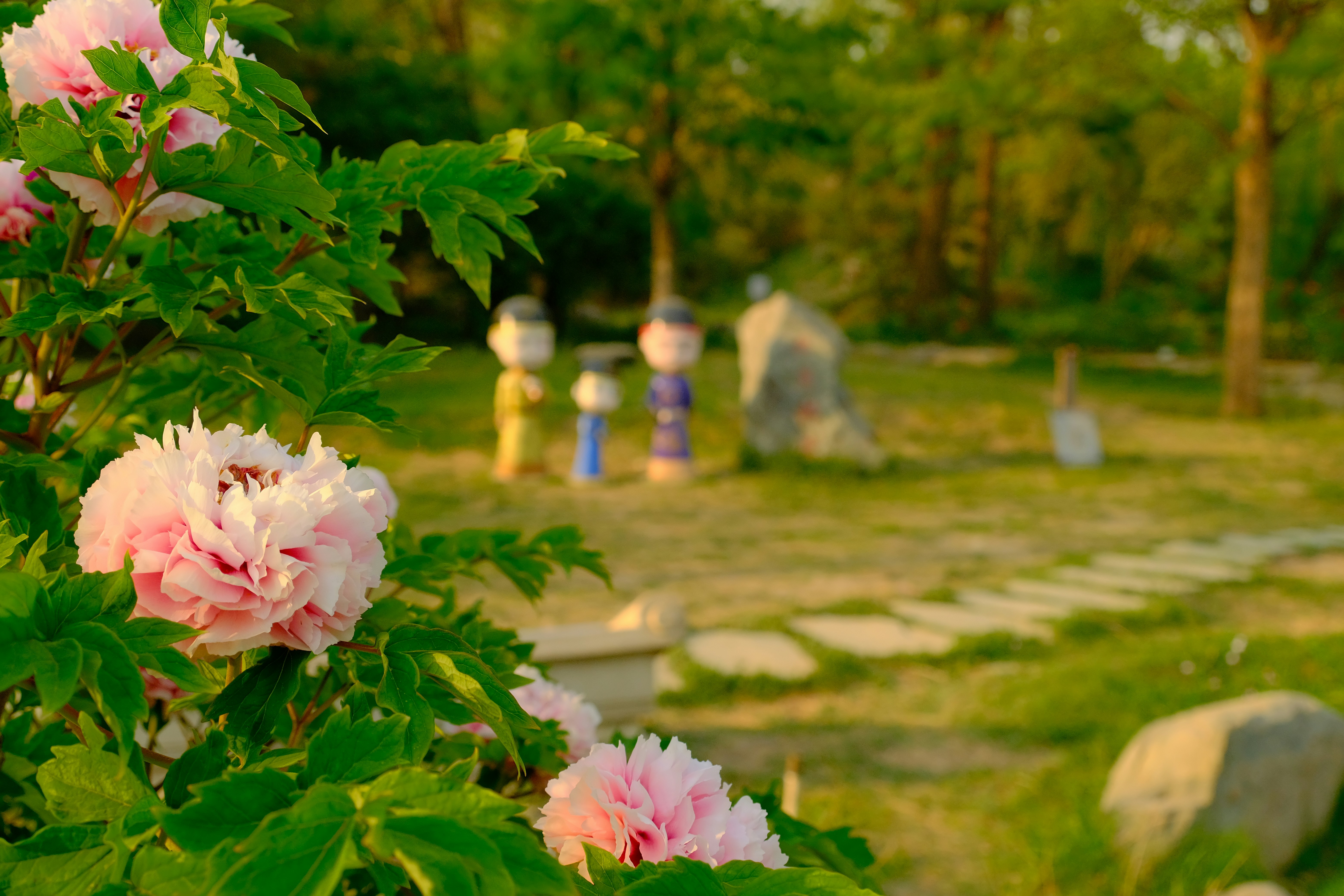 Whispers of Nature: A Floral Encounter