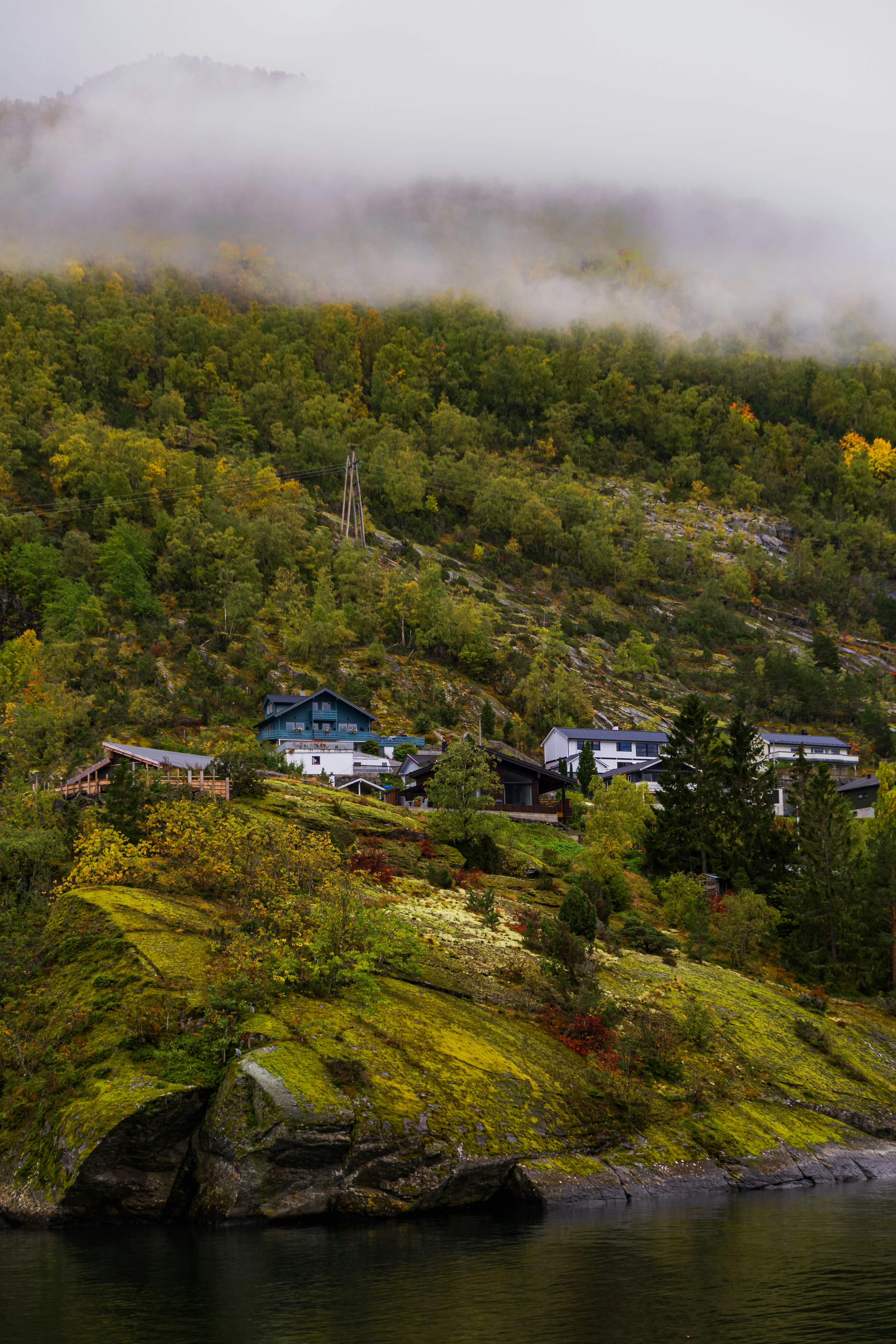 Misty hillside retreat: houses tucked along a emerald shoreline