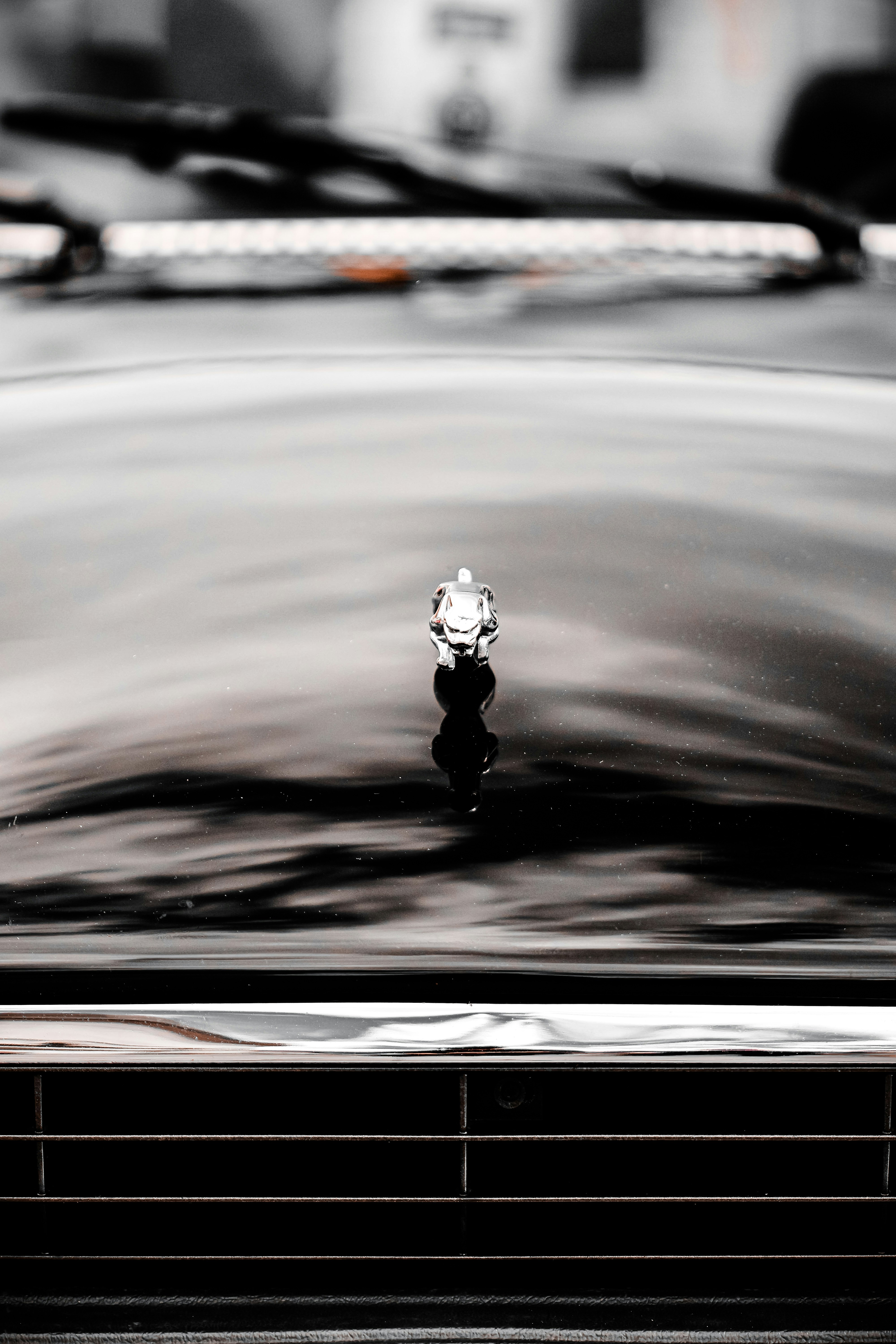 Elegance in Chrome: The Iconic Hood Ornament