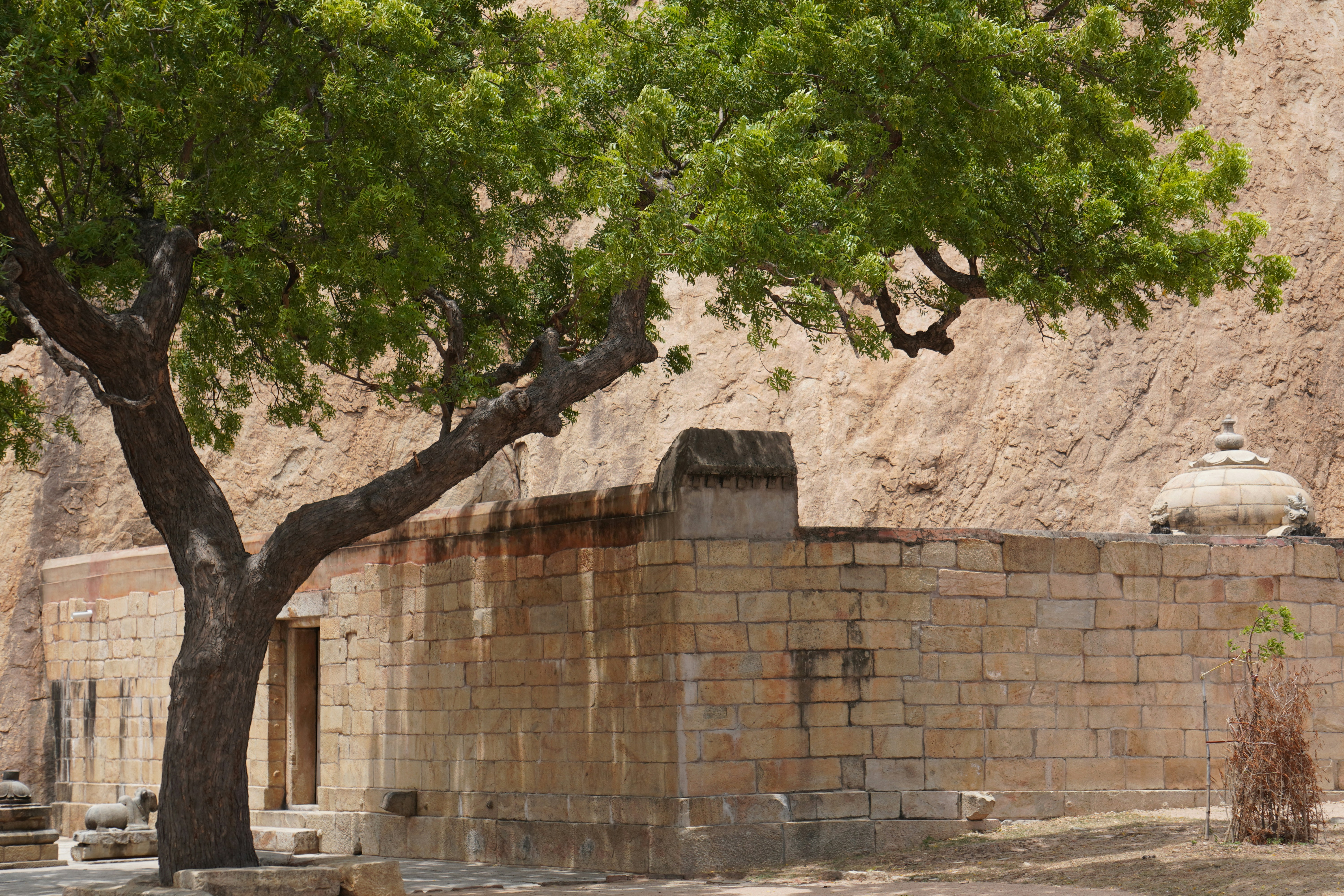 Kadambar Kovil | A stone building is beneath a lush, green tree.