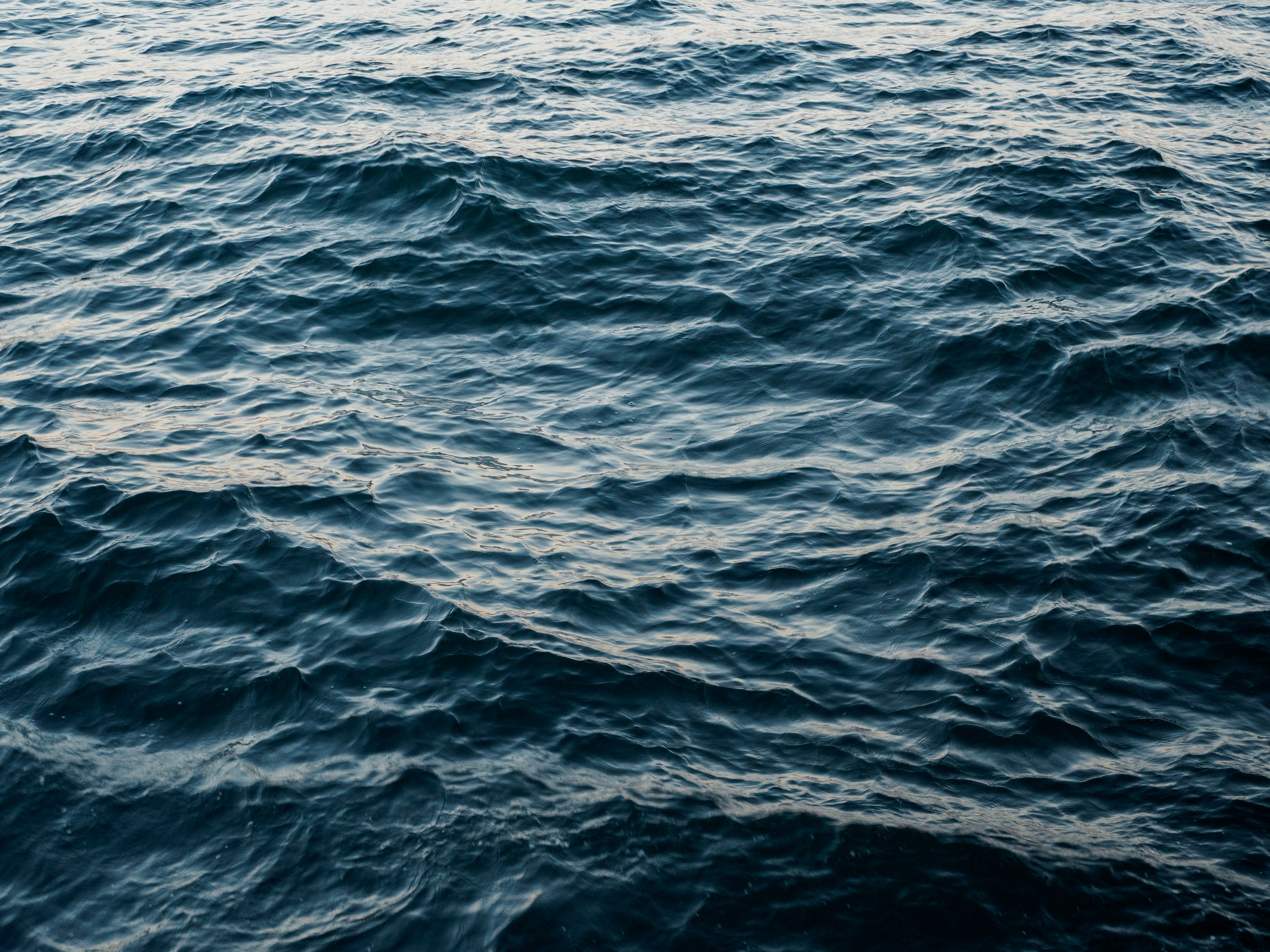 Waves ripple across the dark ocean surface.