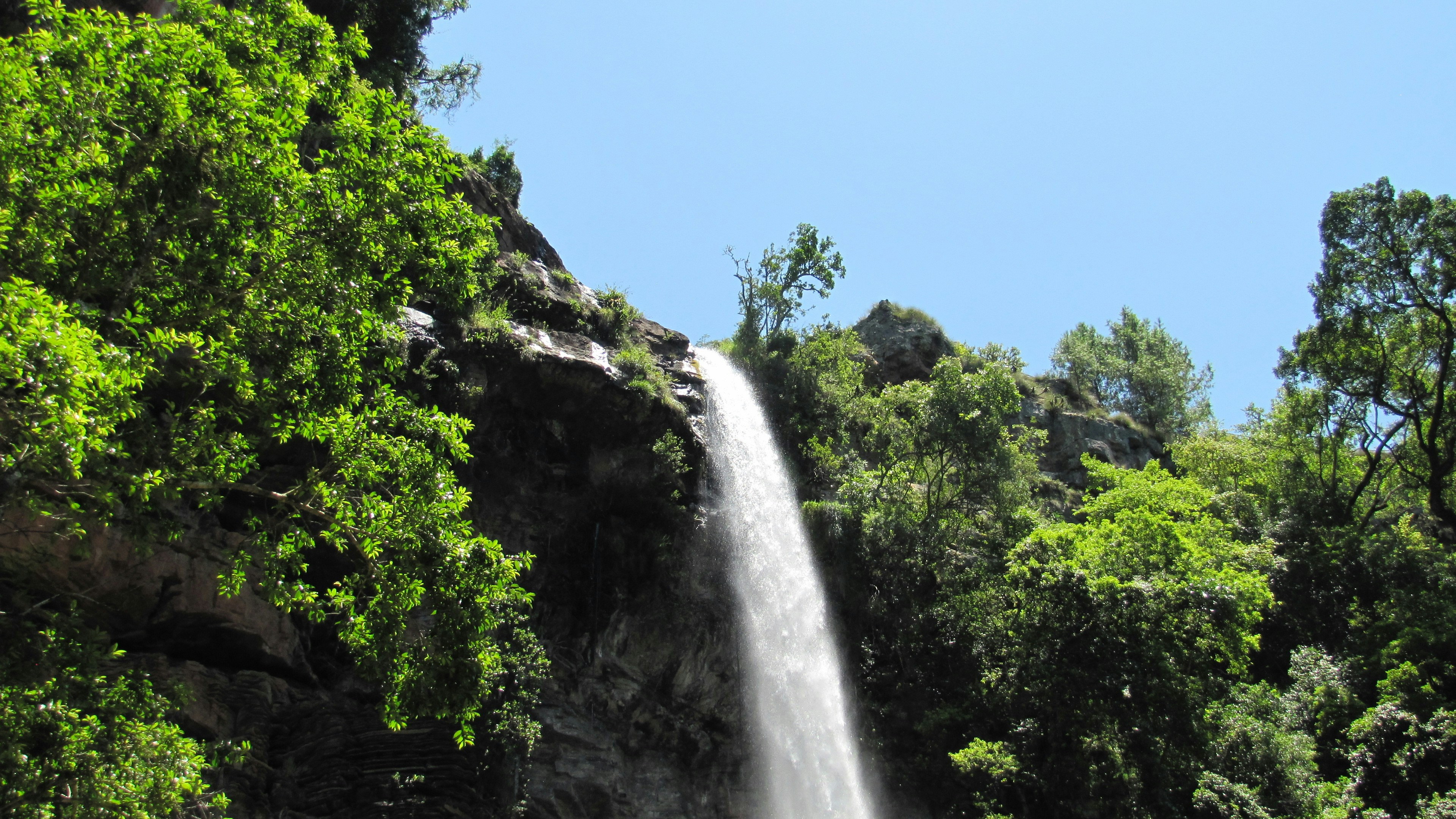 A beautiful waterfall cascades through lush greenery.