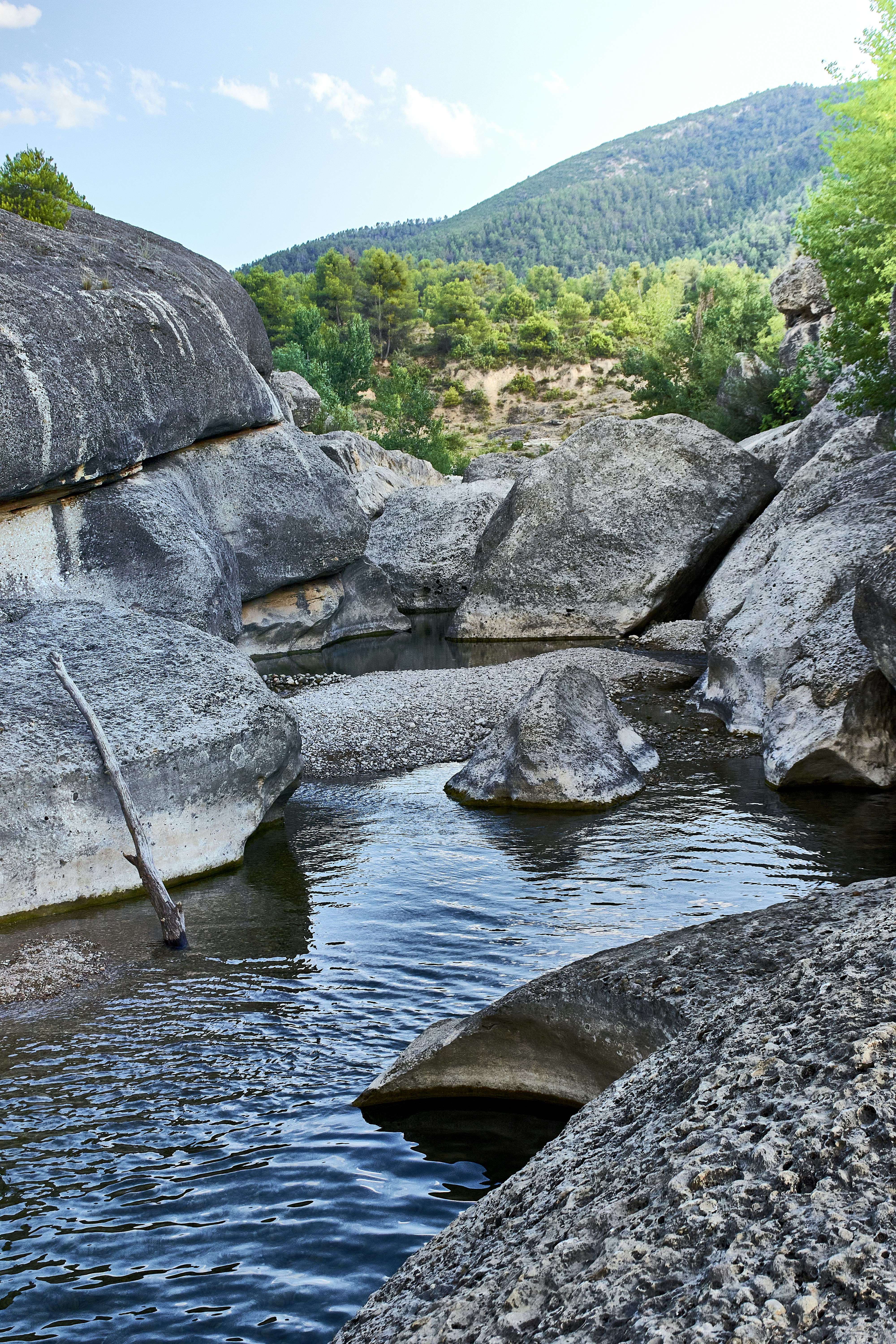 Rocky stream flows through a beautiful, scenic landscape.