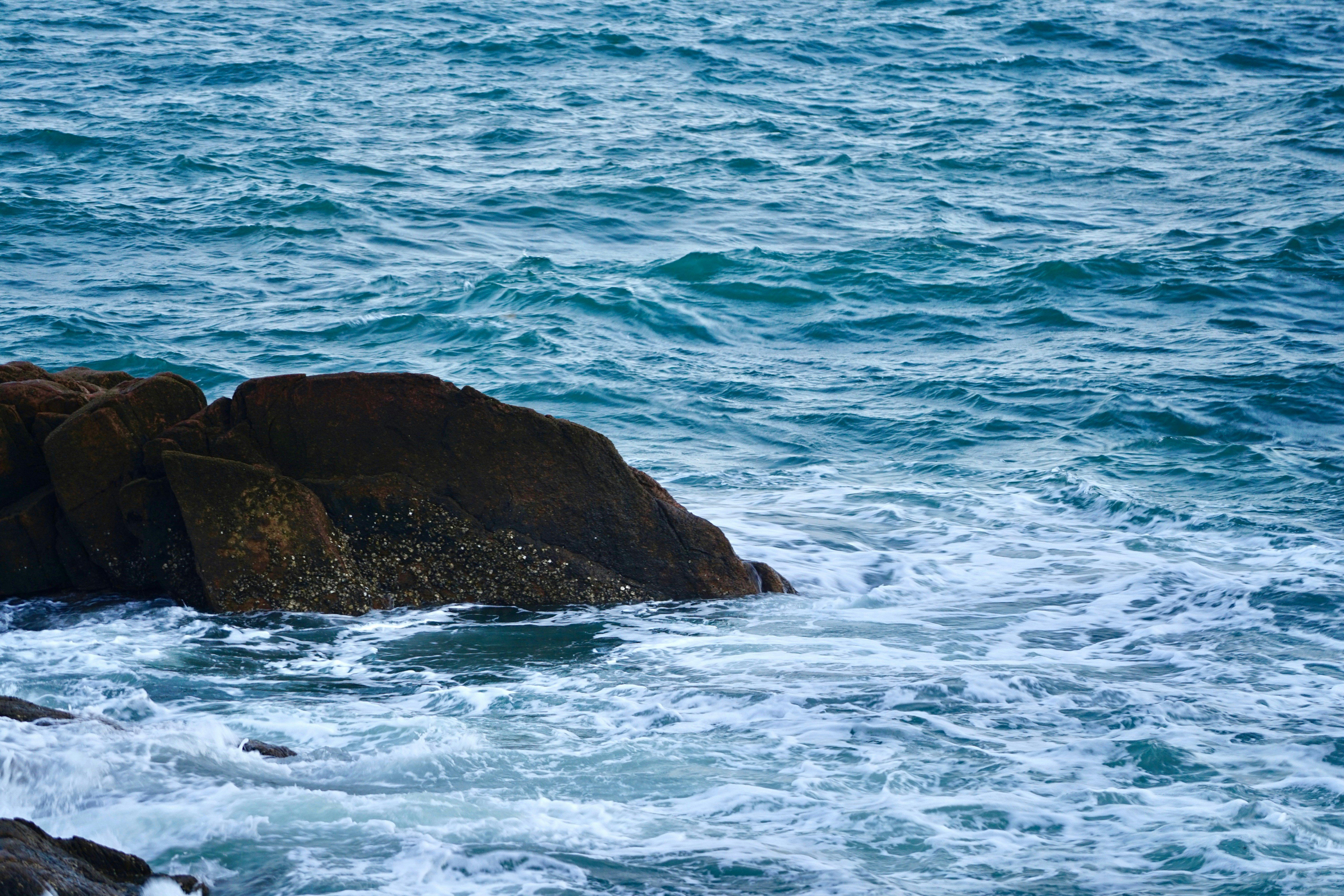 Rough waves crash around a rocky shore.