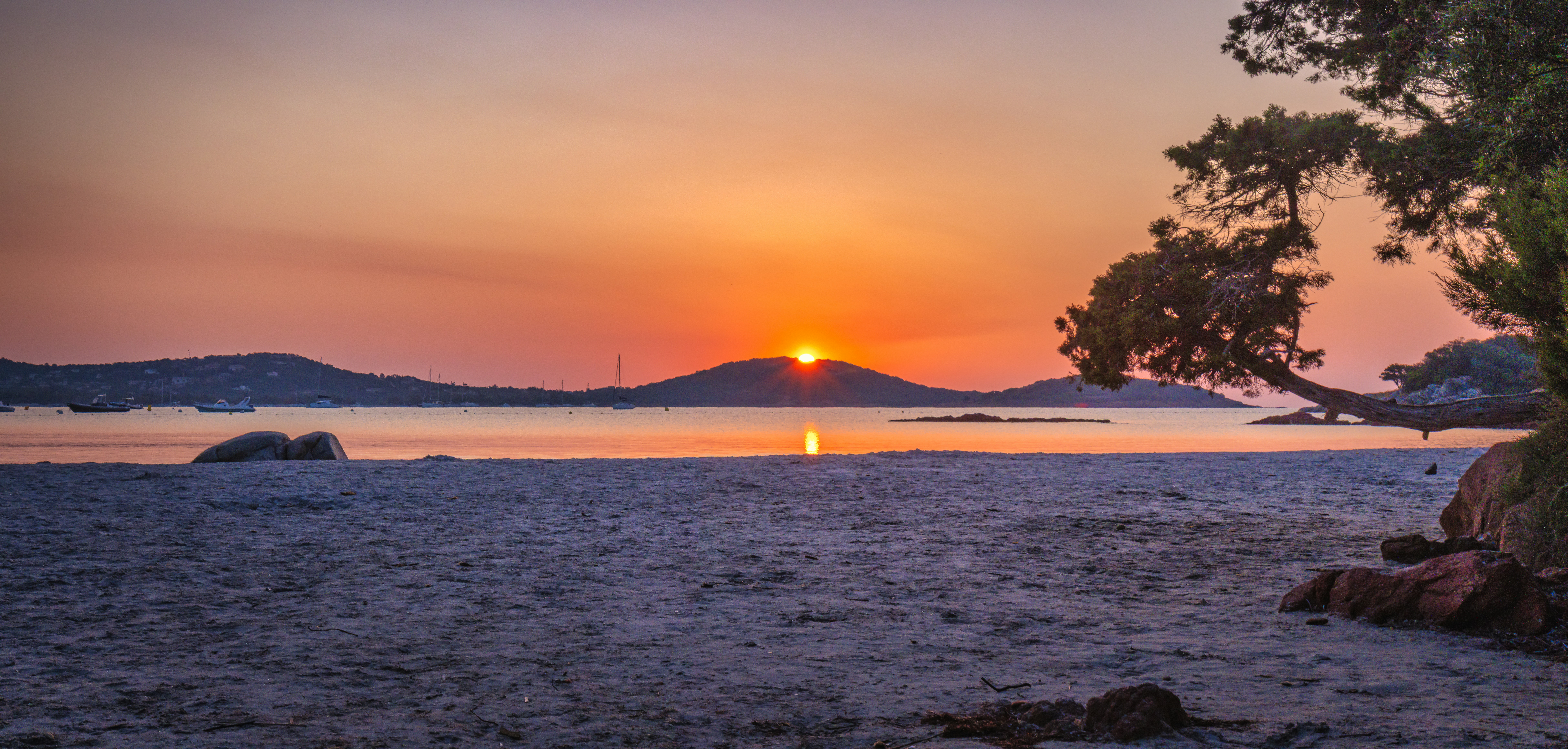 Fab Lentz (@fossy) | Unsplashフォトコミュニティ