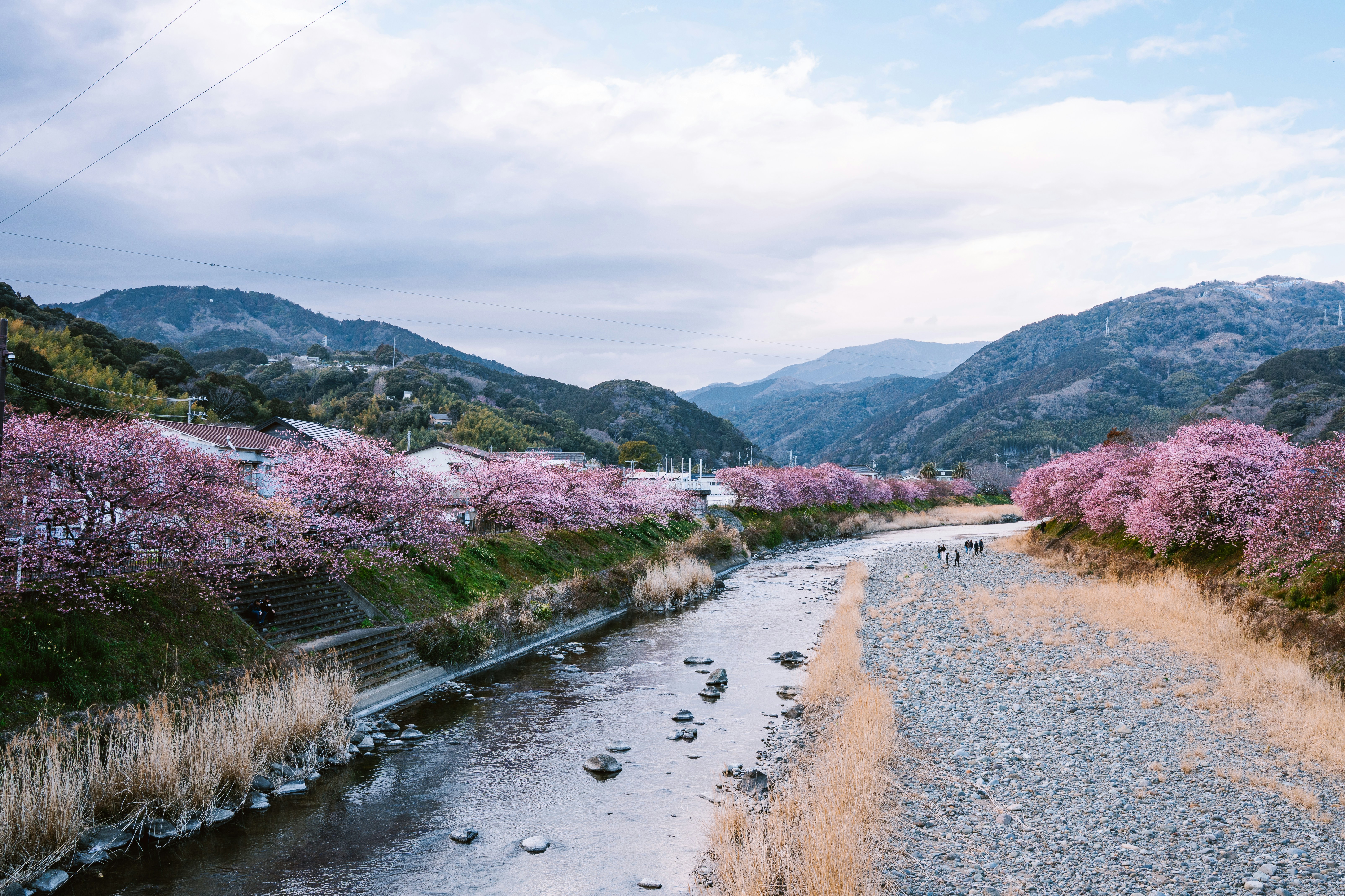 Photo by PJH with Sony Alpha 7 IV