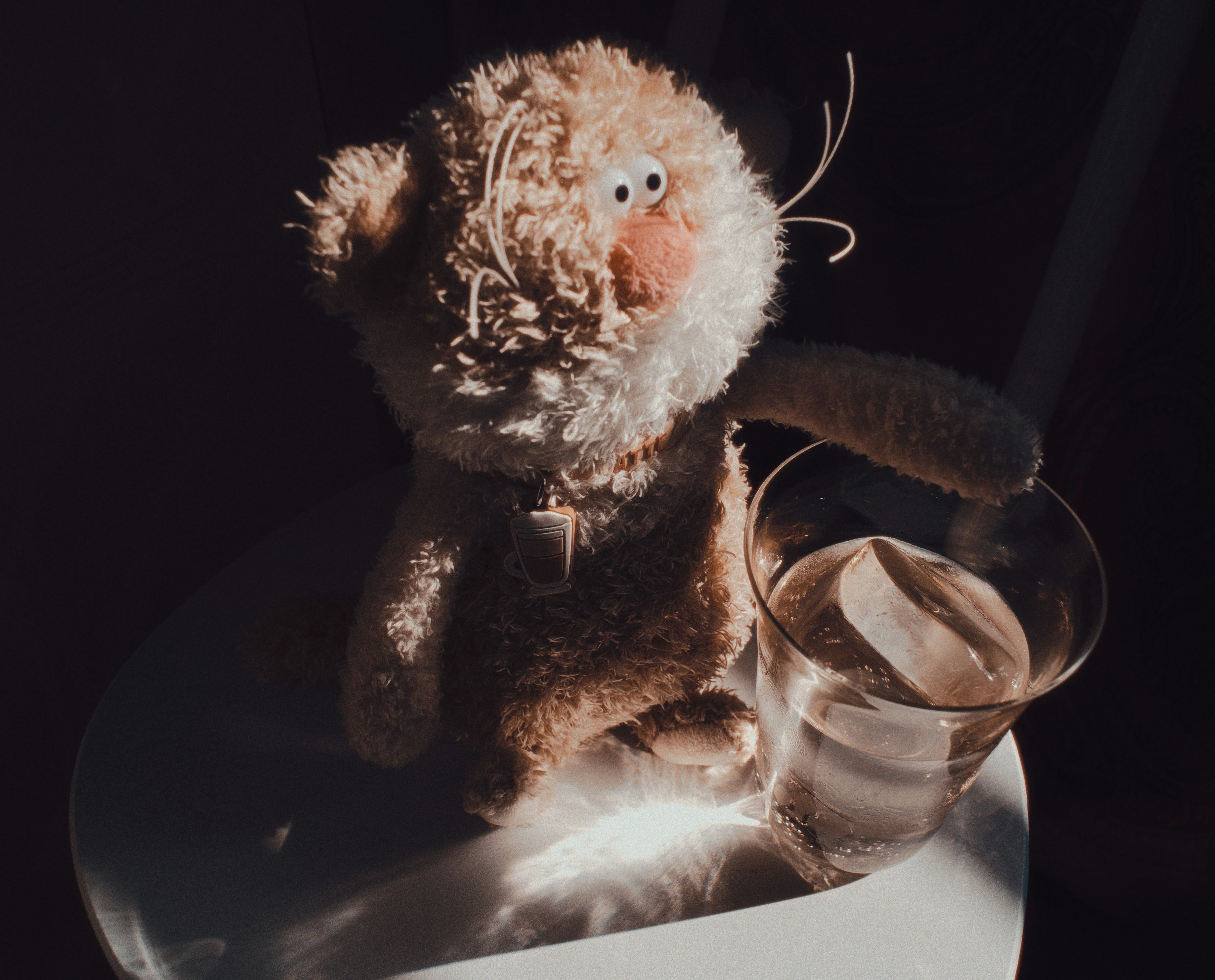 Whimsical Companion in Sunlight
