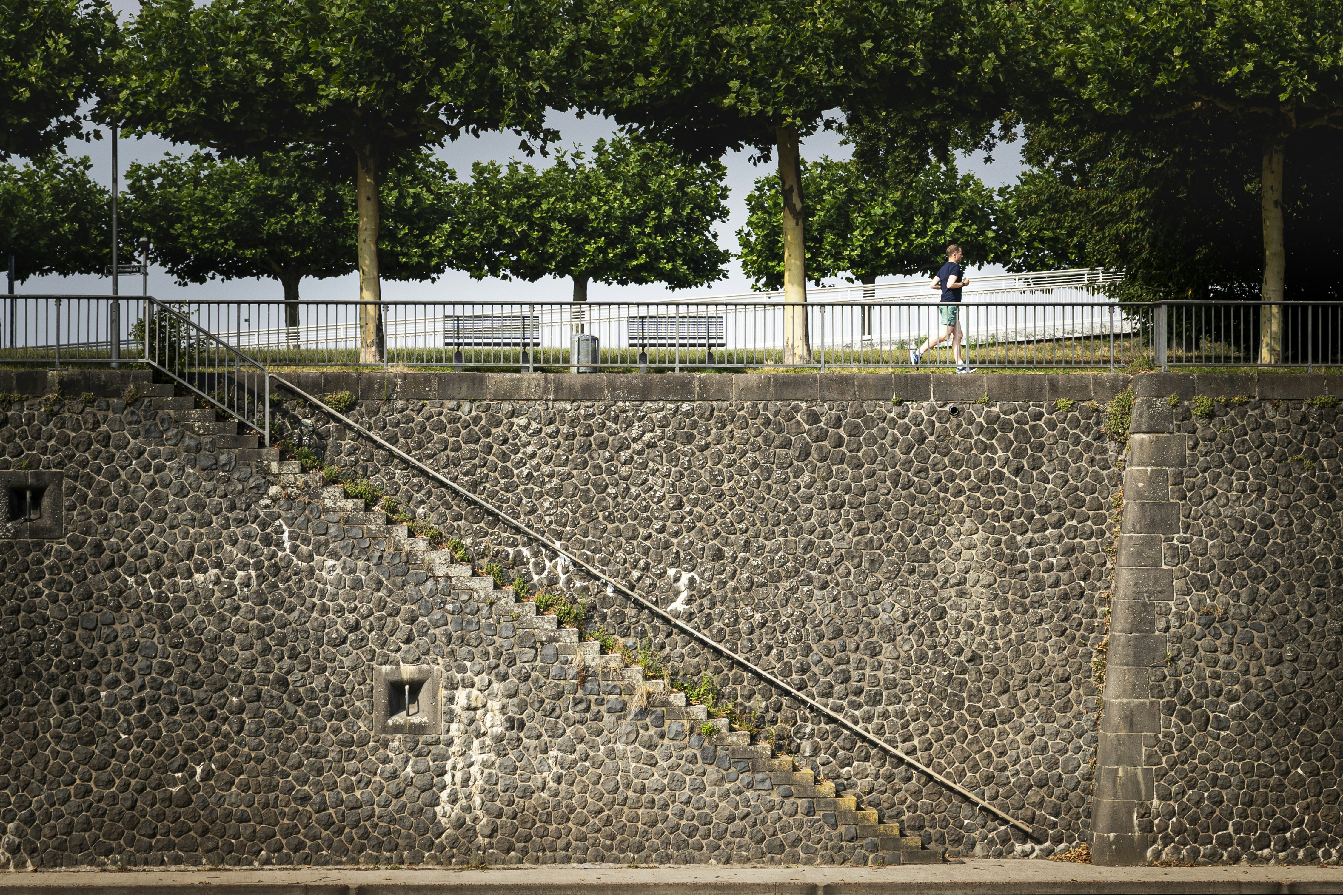 A lone runner passes above a textured stone riverside wall lined with geometric trees and benches. This quiet urban moment captures a mix of symmetry, movement, and architectural rhythm. | A person runs near a stone wall and trees.