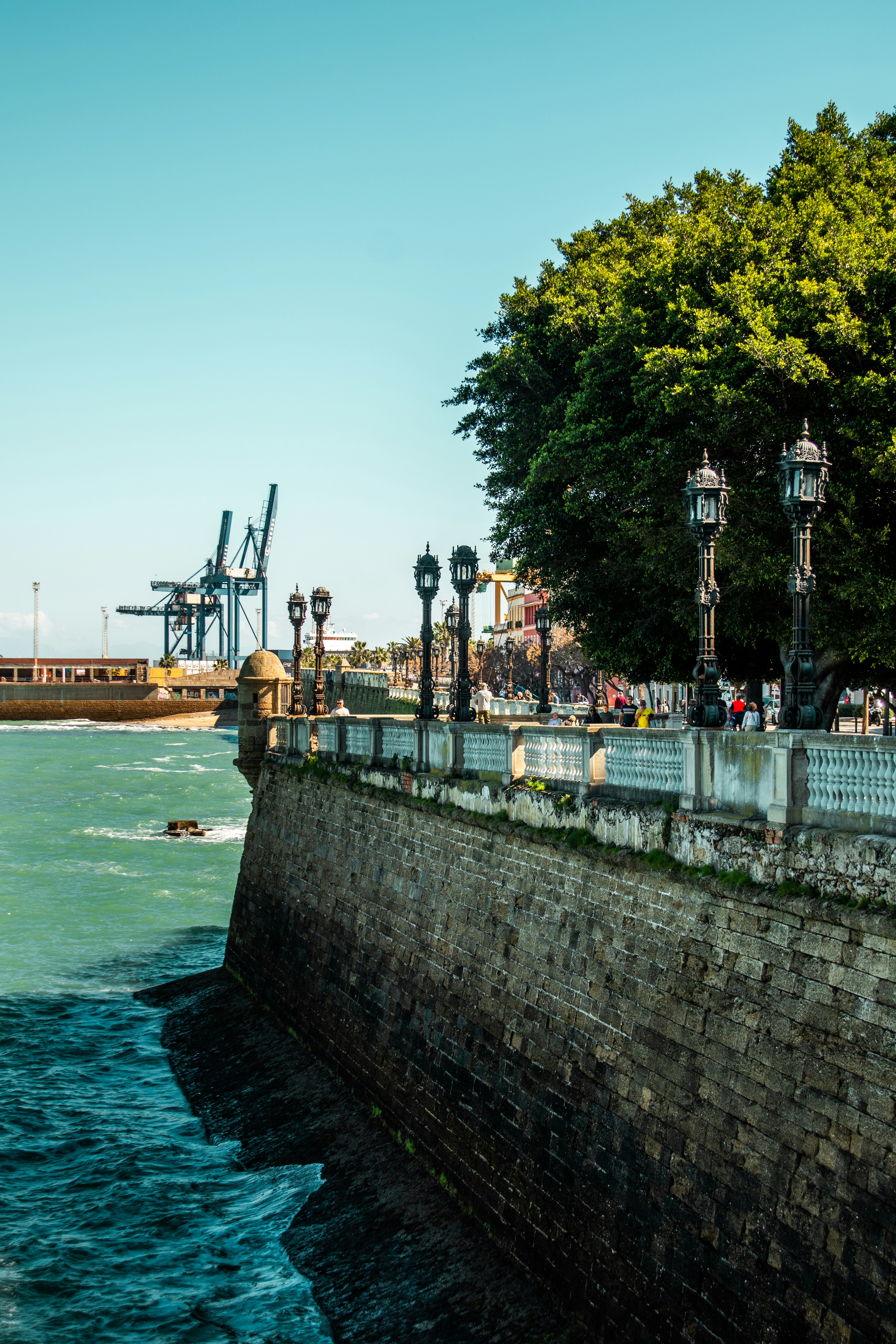 Vibrant waterfront scene featuring a lush tree and historic stone wall, with cranes in the background. The image captures the interplay between natural beauty and industrial activity.