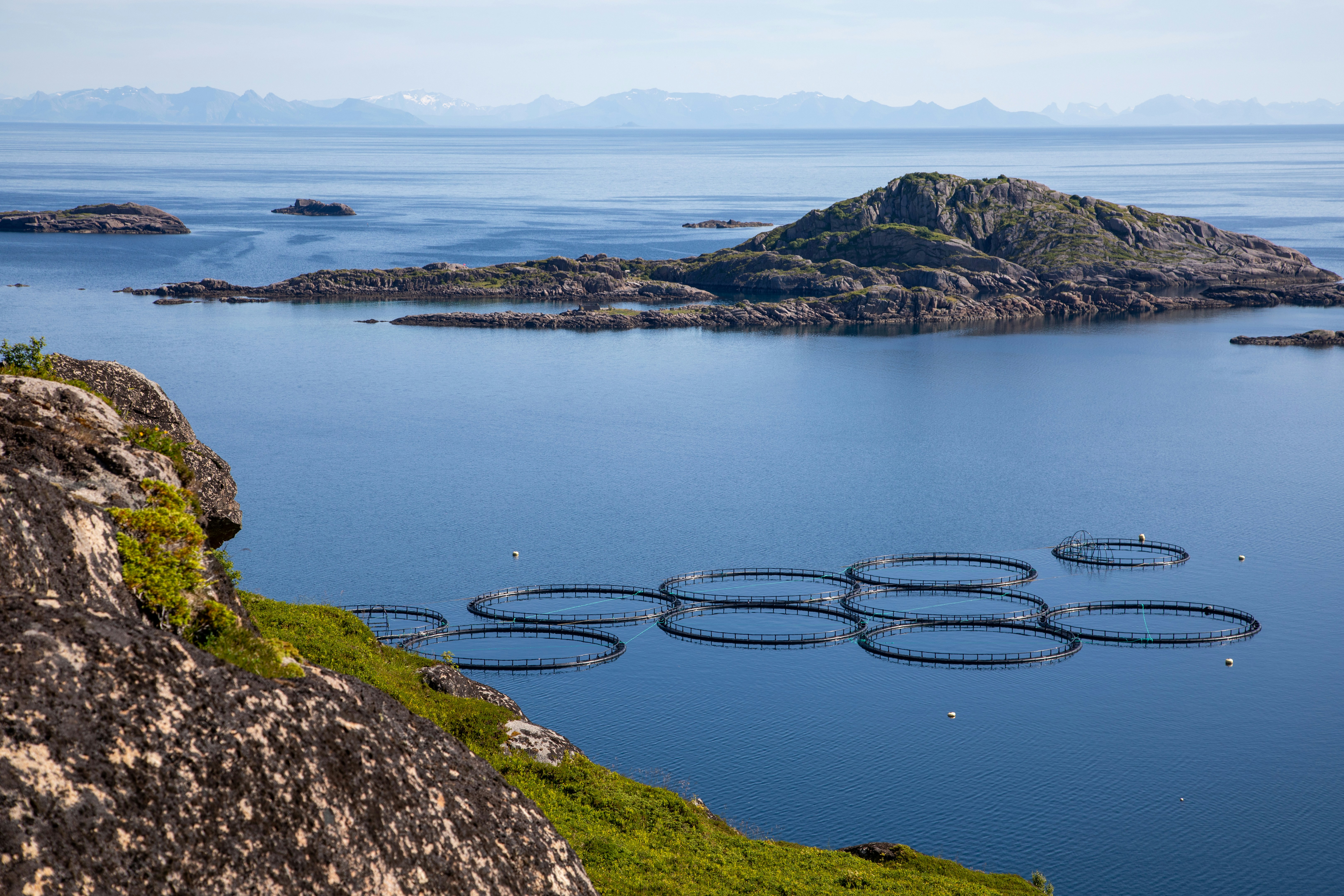 Fish farms in calm waters near an island.