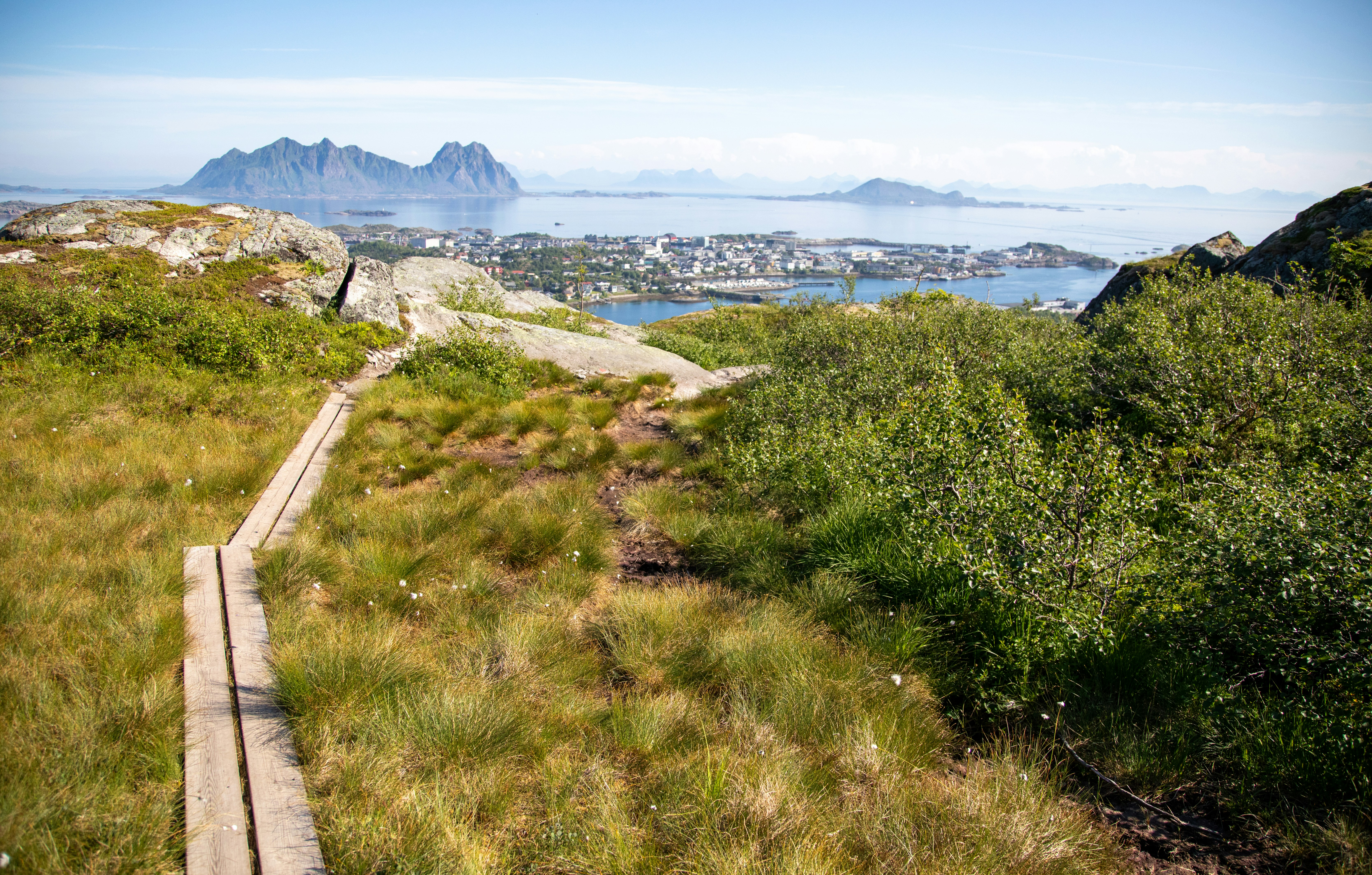 Pathway to Tranquility: A Journey Through Nature's Embrace