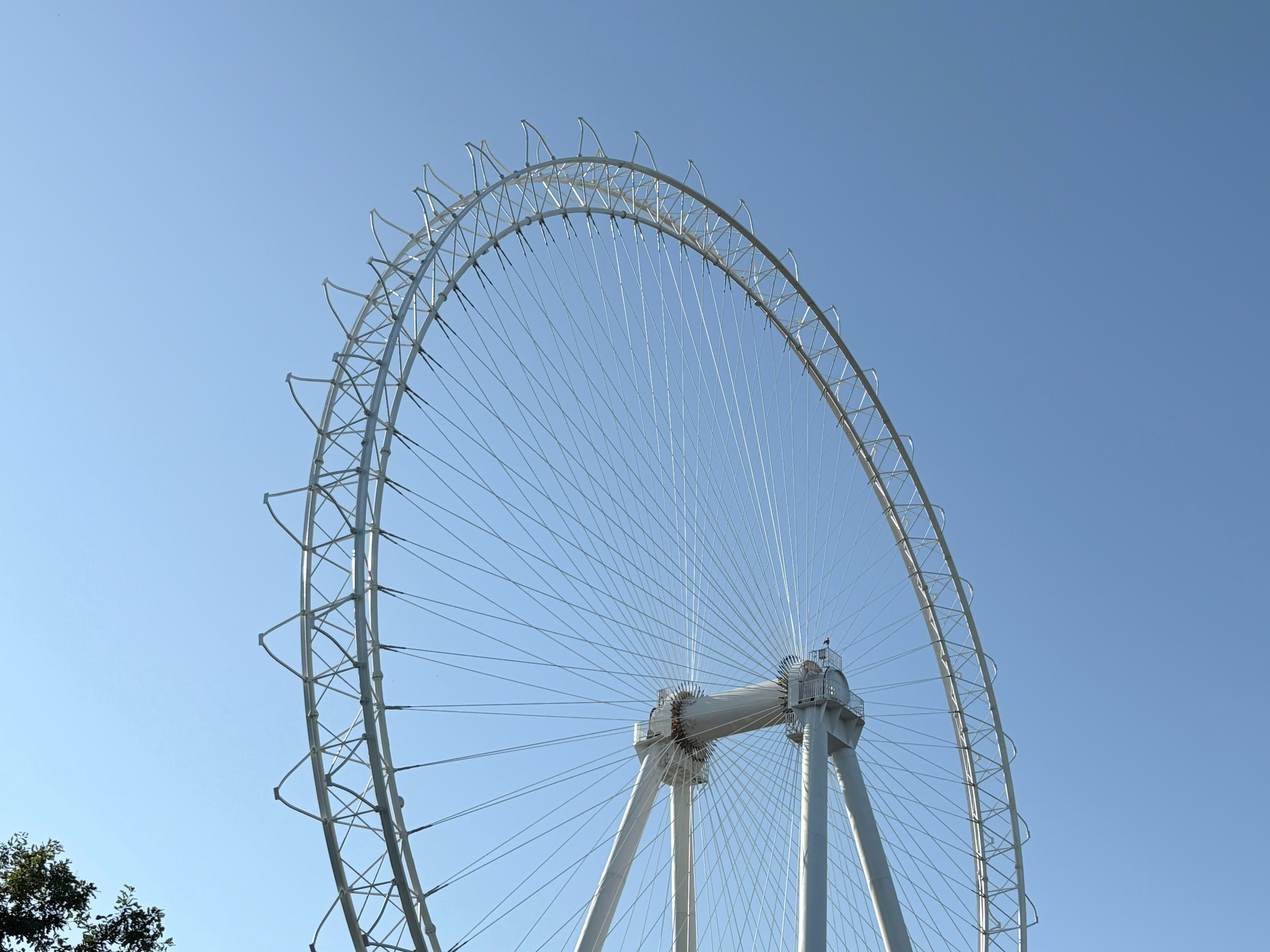 The Architectural Elegance of a Modern Ferris Wheel