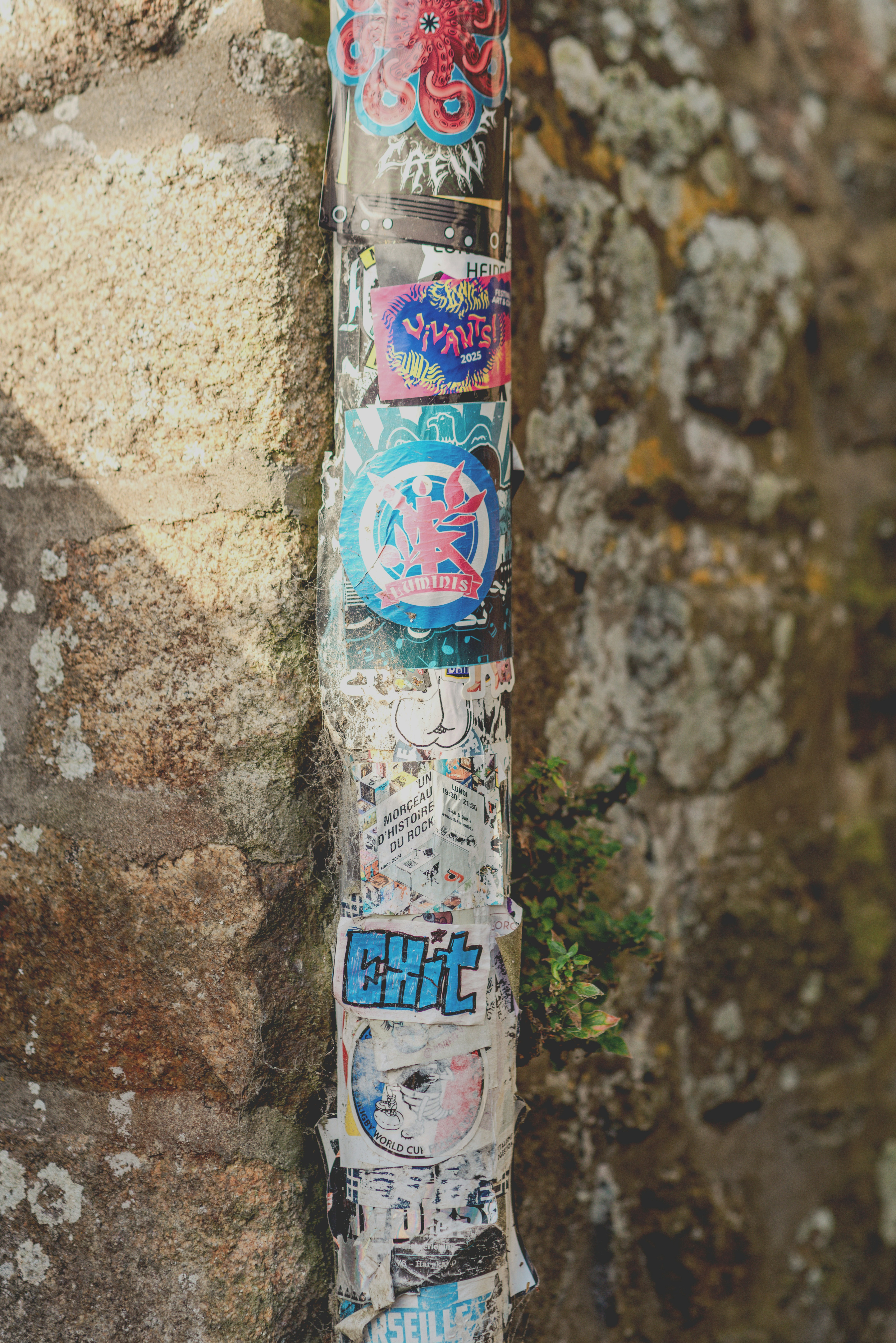 Urban Canvas: The Story of Stickers
