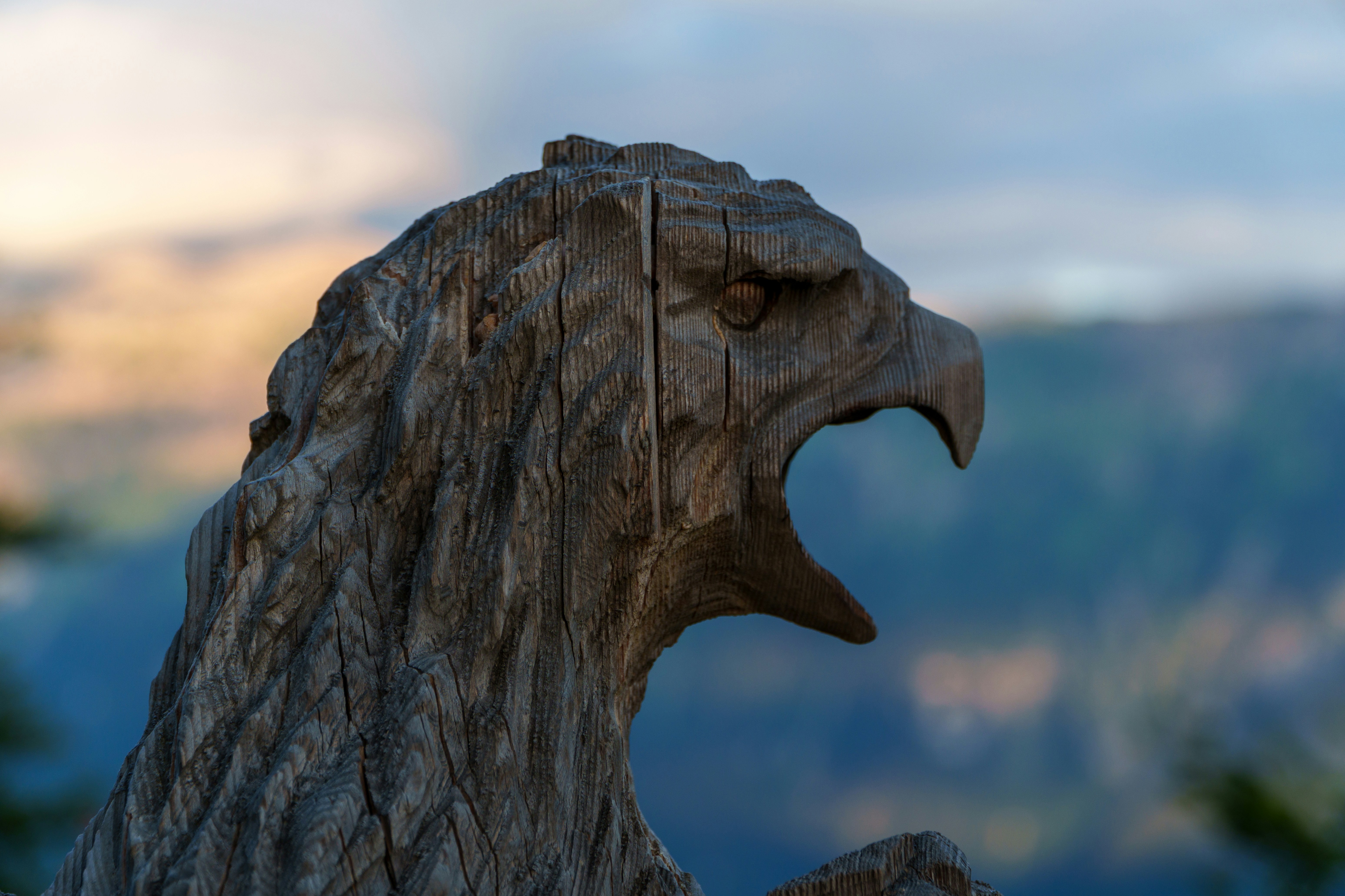 A wooden carving of an eagle in front of mountains. | A wooden eagle statue with a stunning background.