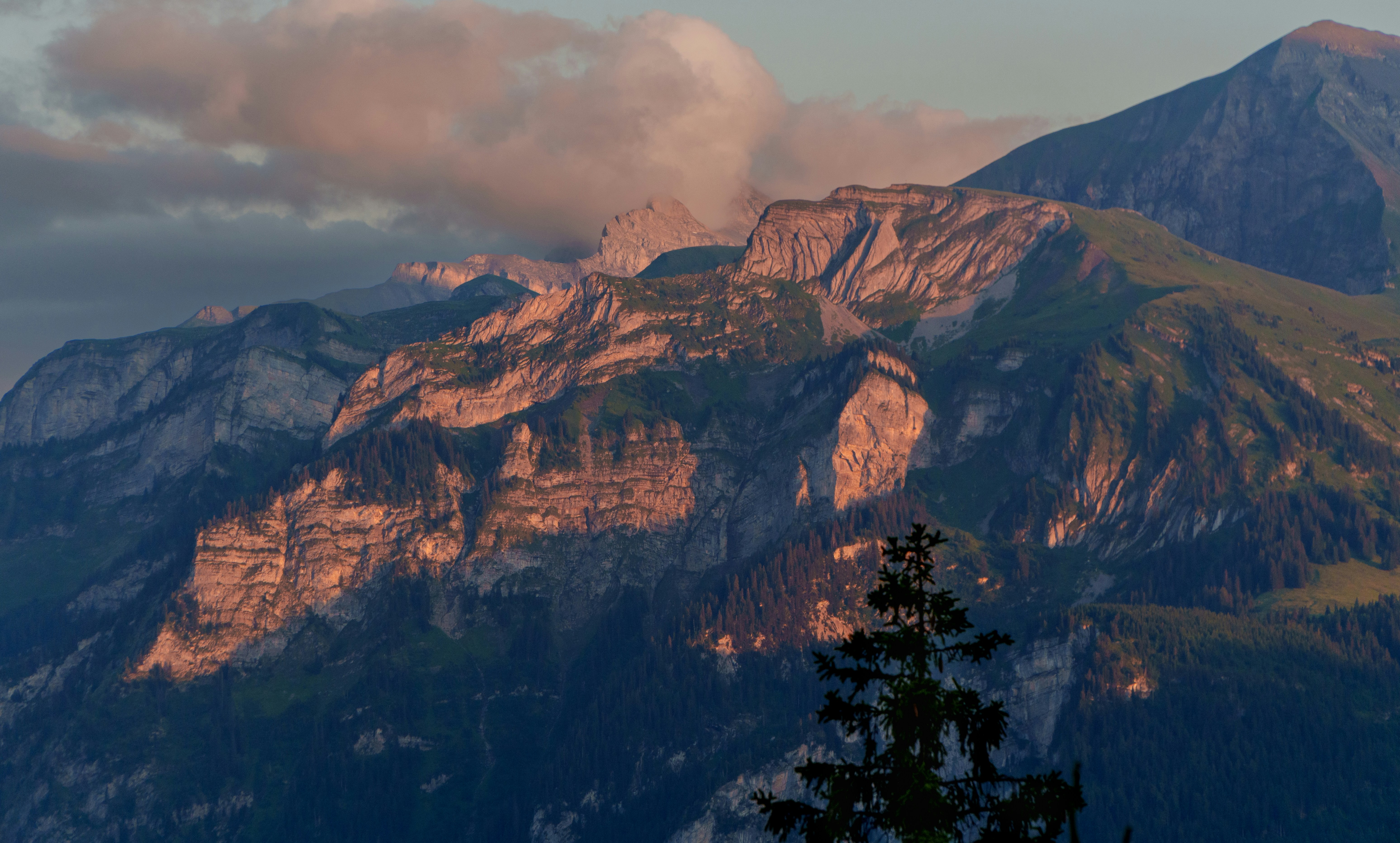 Whispers of the Alpine Giants