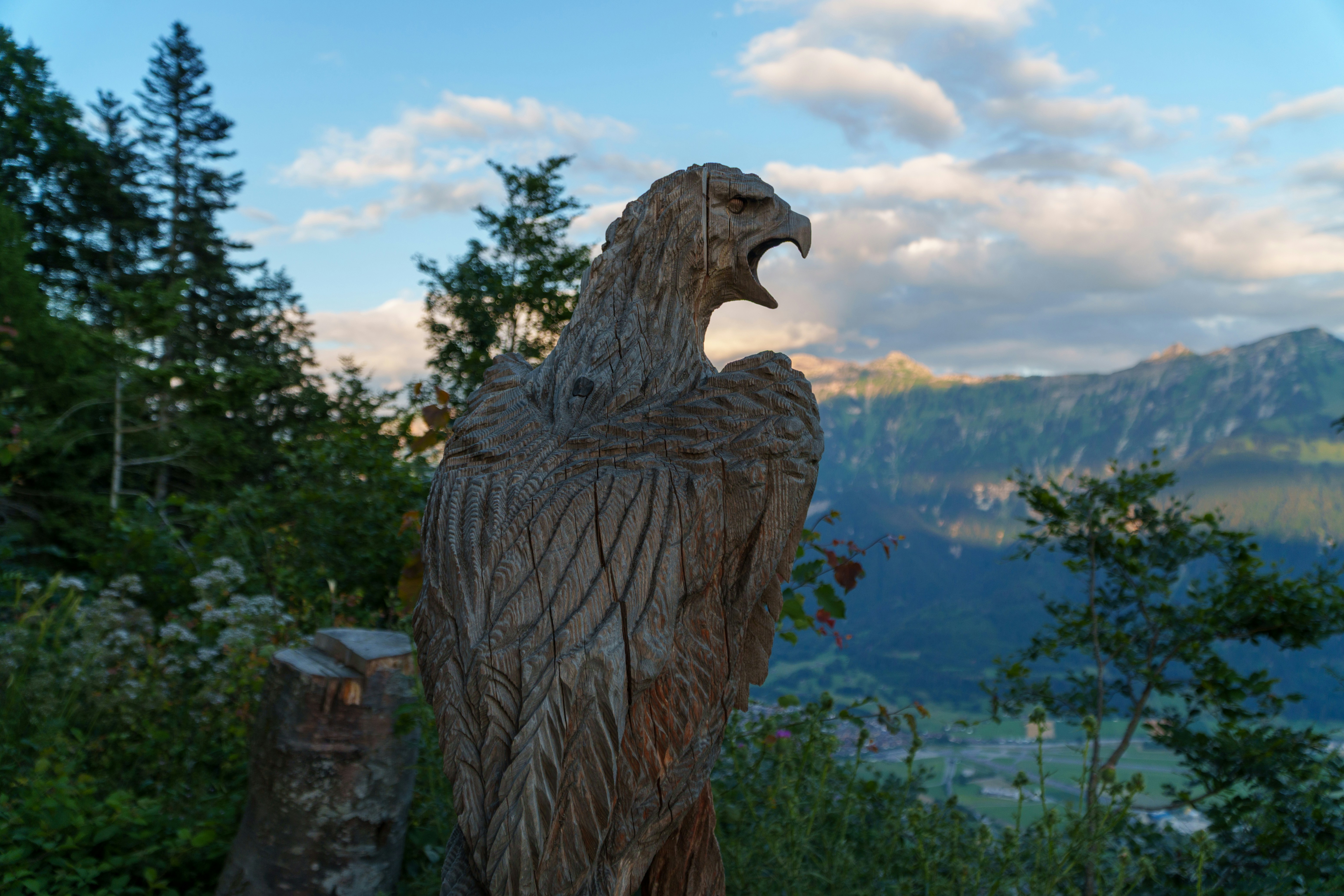 The Sentinel of the Valley