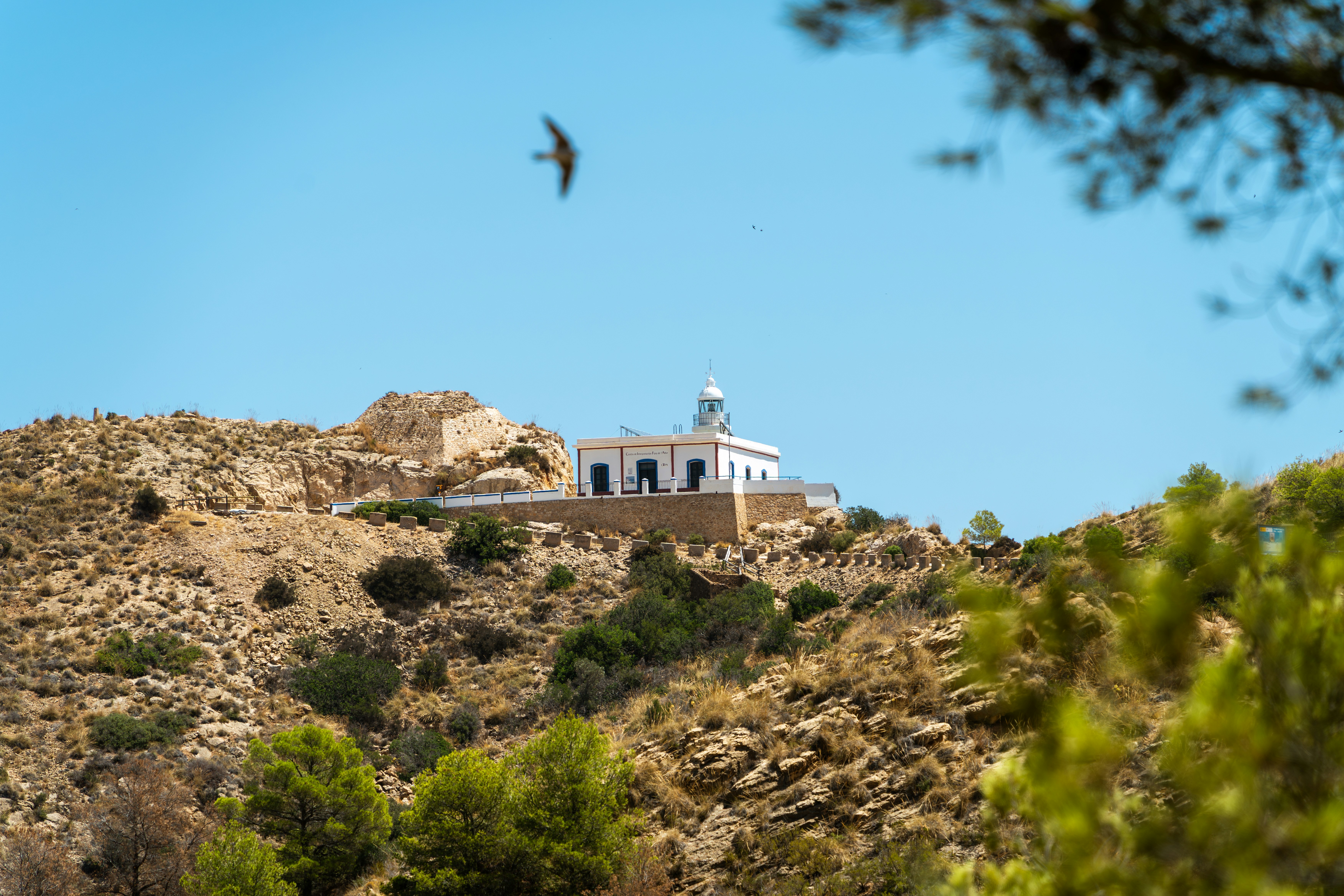 Sanctuary on the Summit