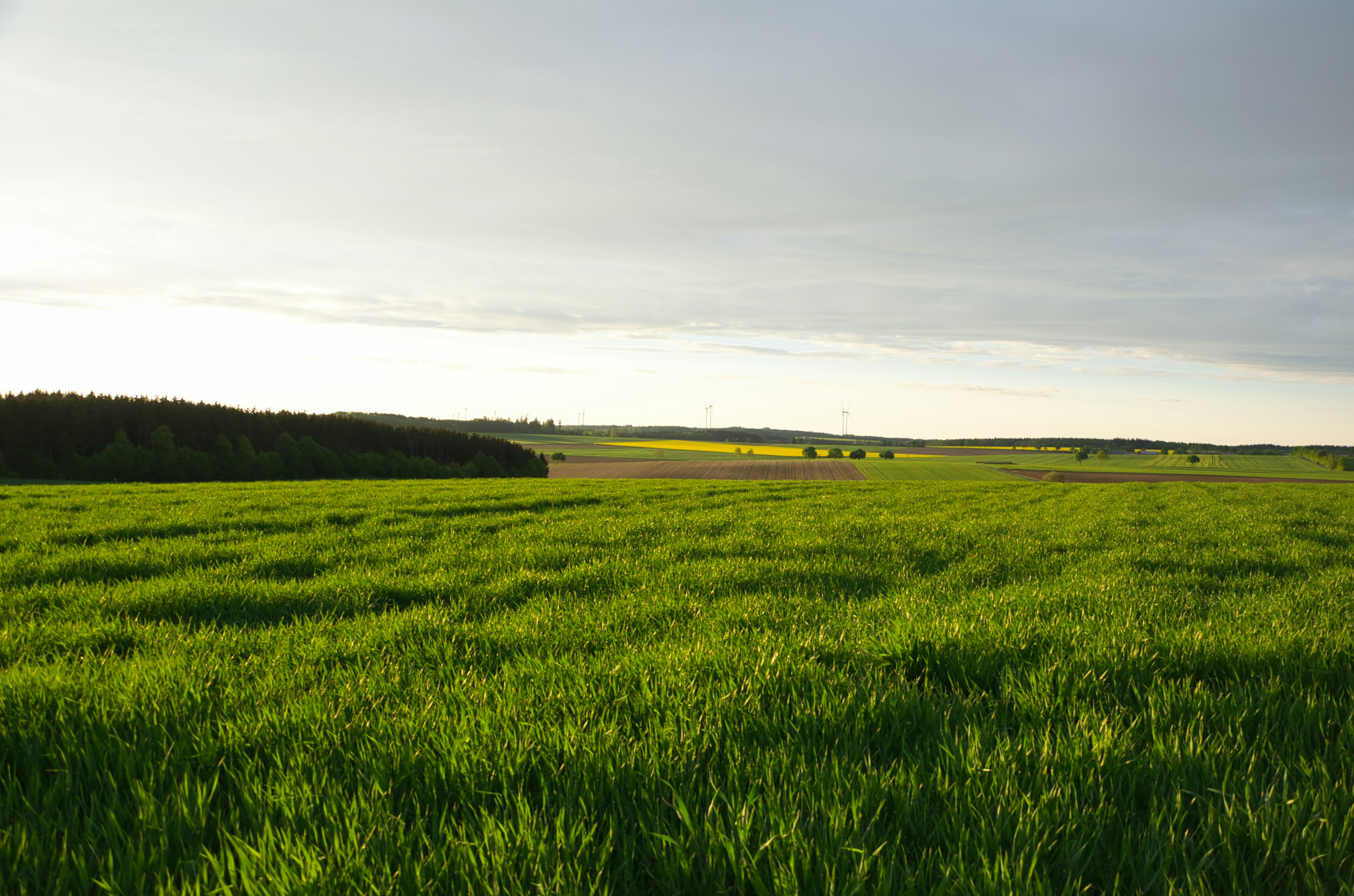 Lush green fields stretch across the landscape, meeting a horizon of distant trees and gentle hills under a soft, overcast sky.