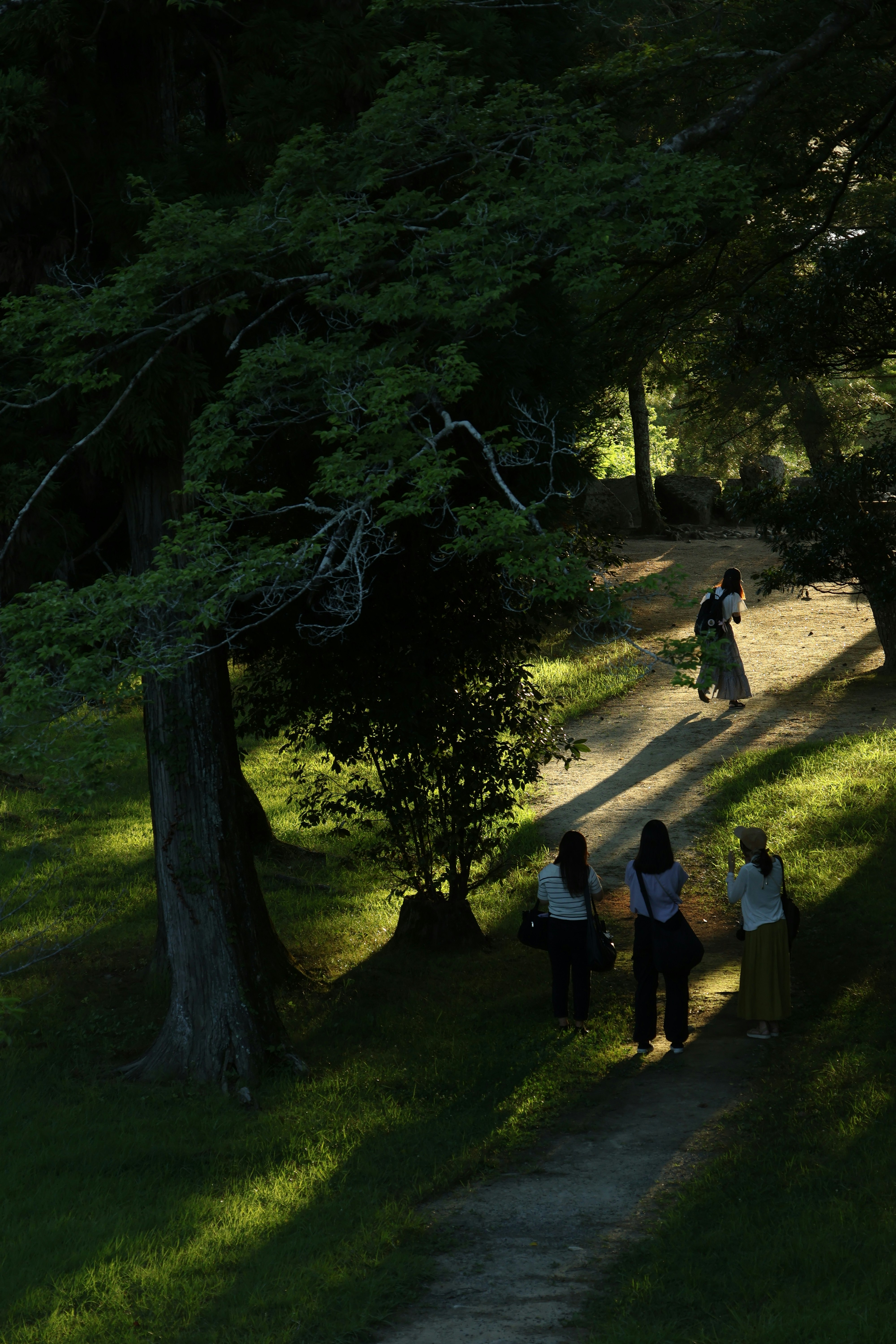 Whispers of Nature's Path