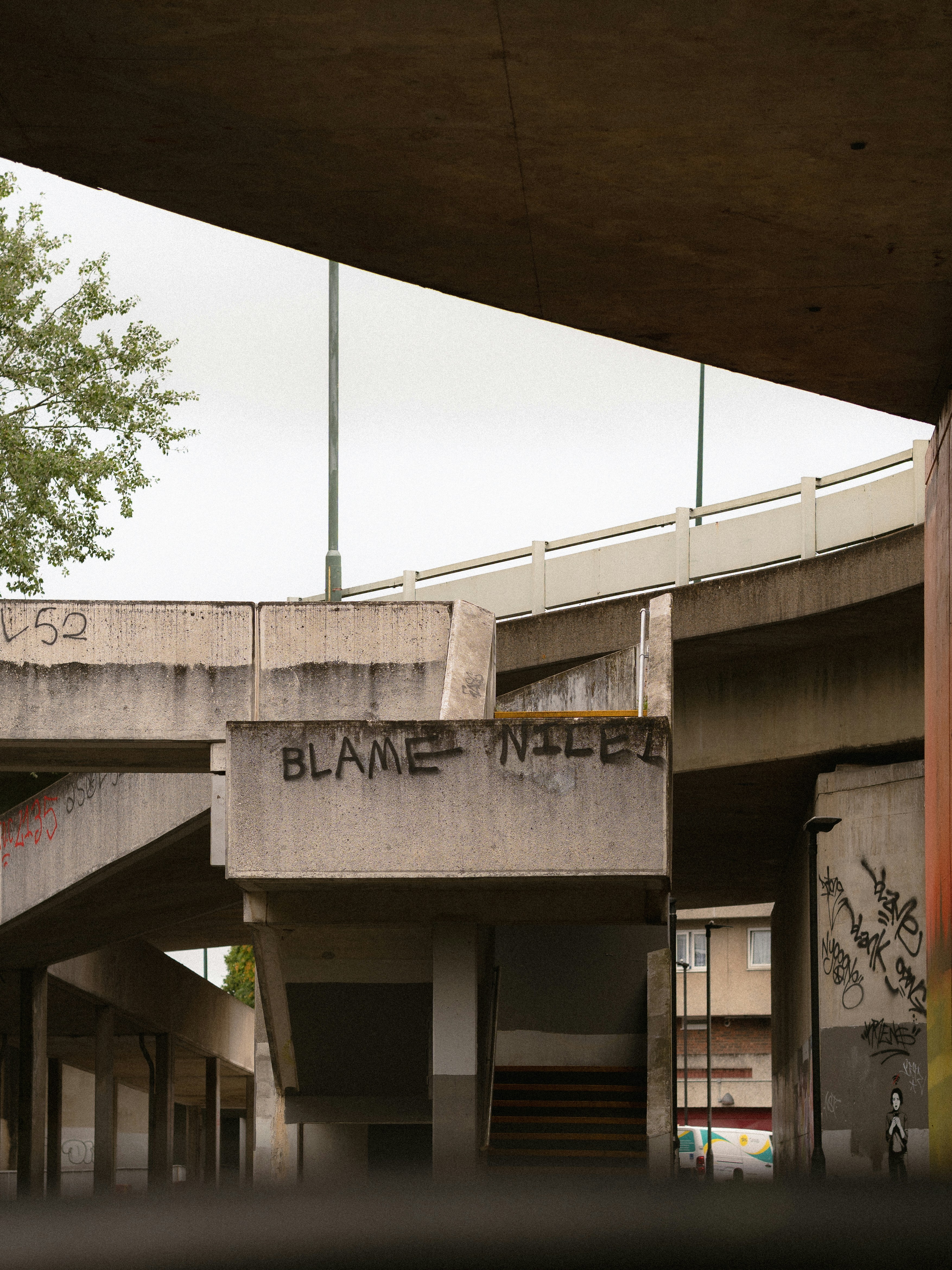 Graffiti-covered concrete structures under an overpass, framed by a leafy tree and a muted sky. The scene captures the raw essence of urban life.