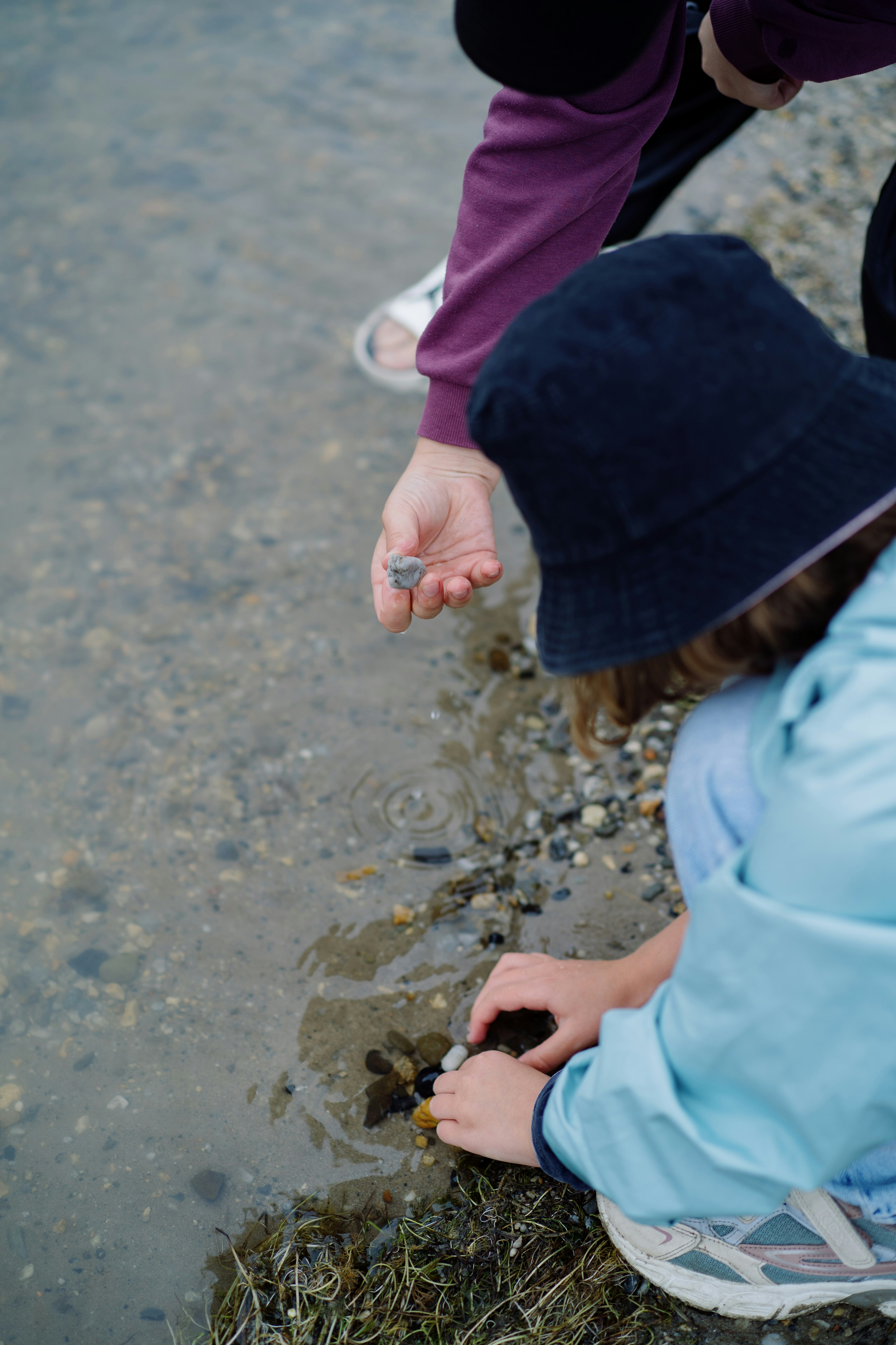 Small discovery by the shoreline: a child’s hand releasing a tiny pebble into shallow water