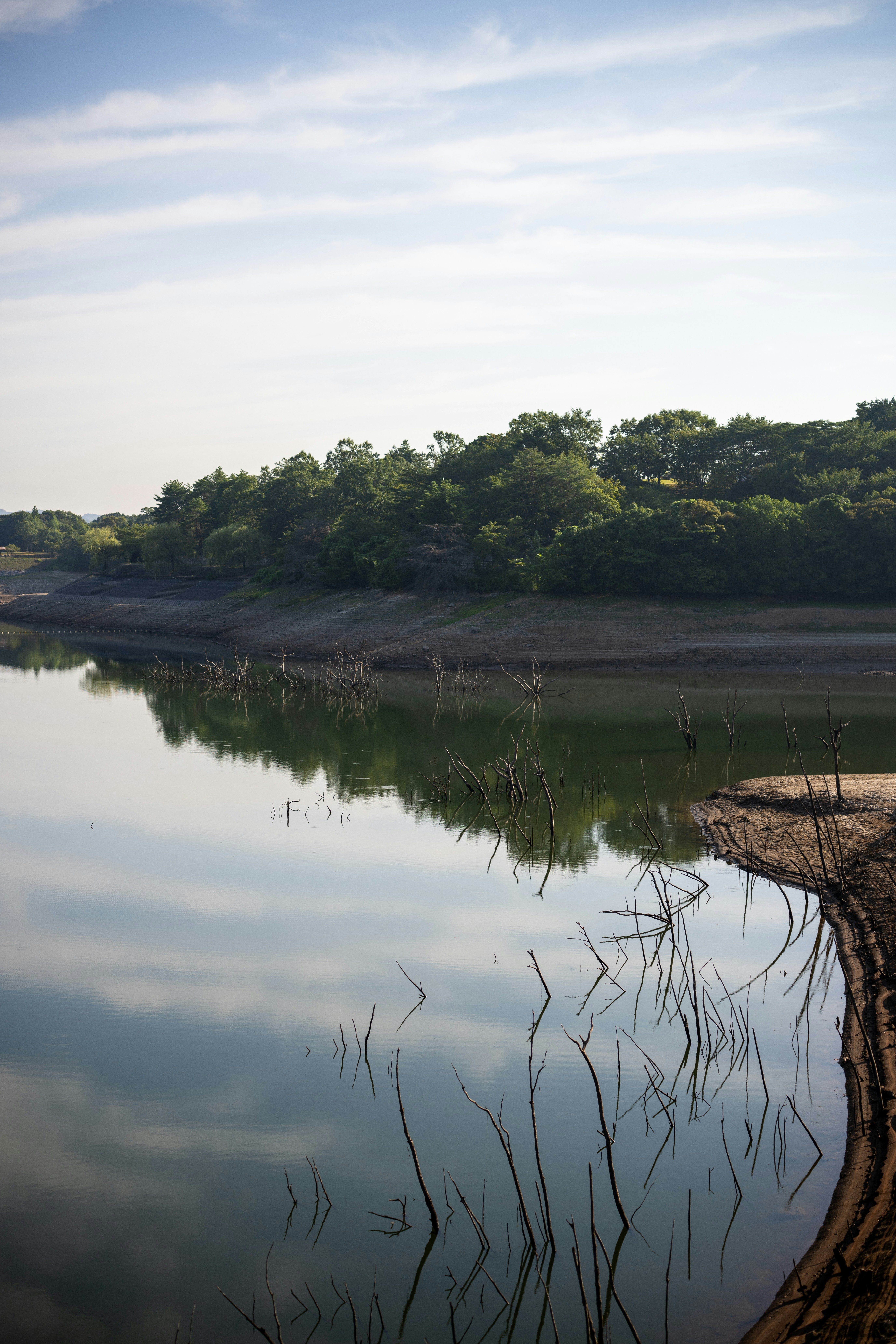 Still water reflects trees and sky.