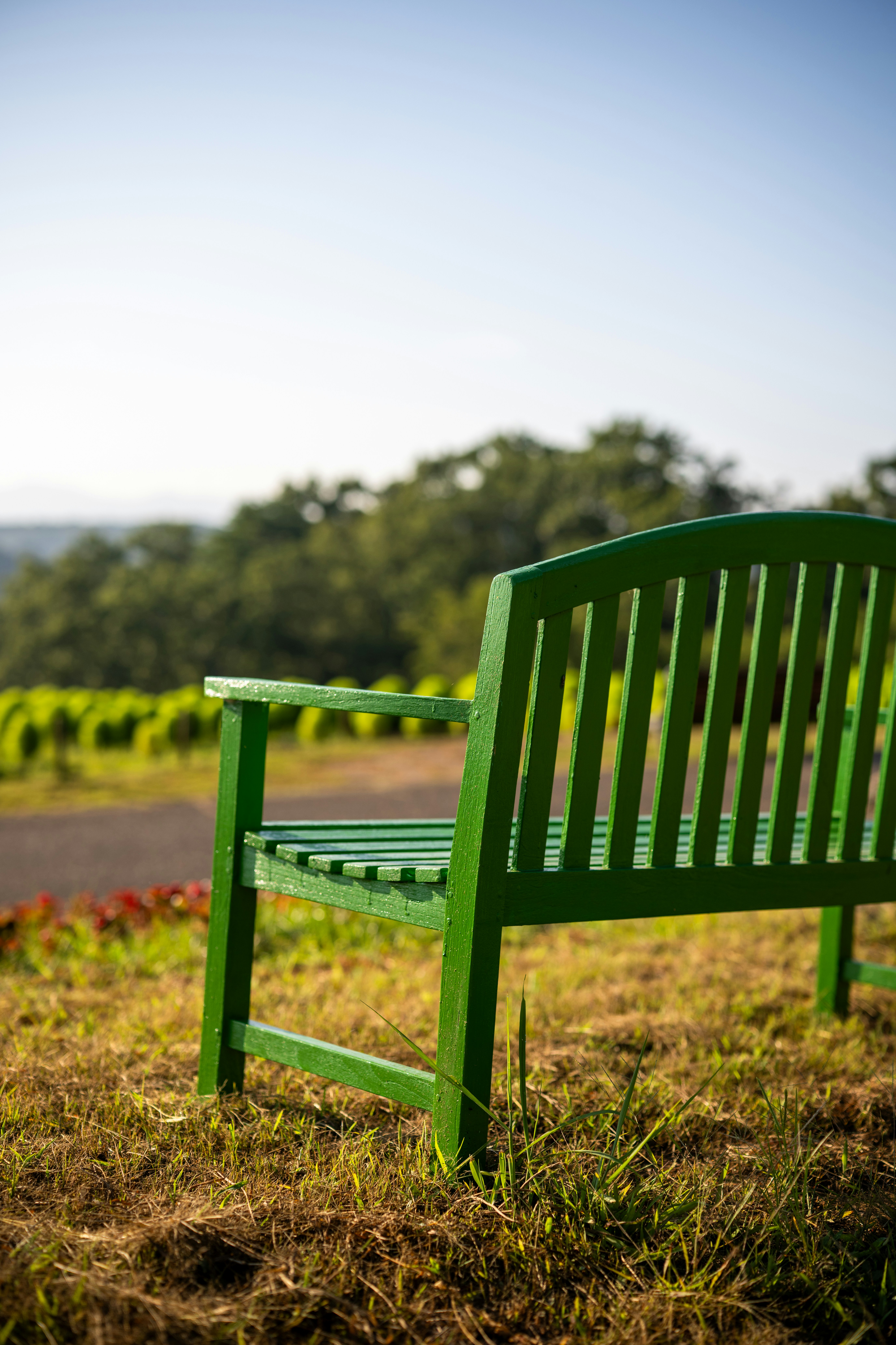 Vibrant green bench set against a backdrop of lush vineyards and distant hills, inviting moments of tranquility.