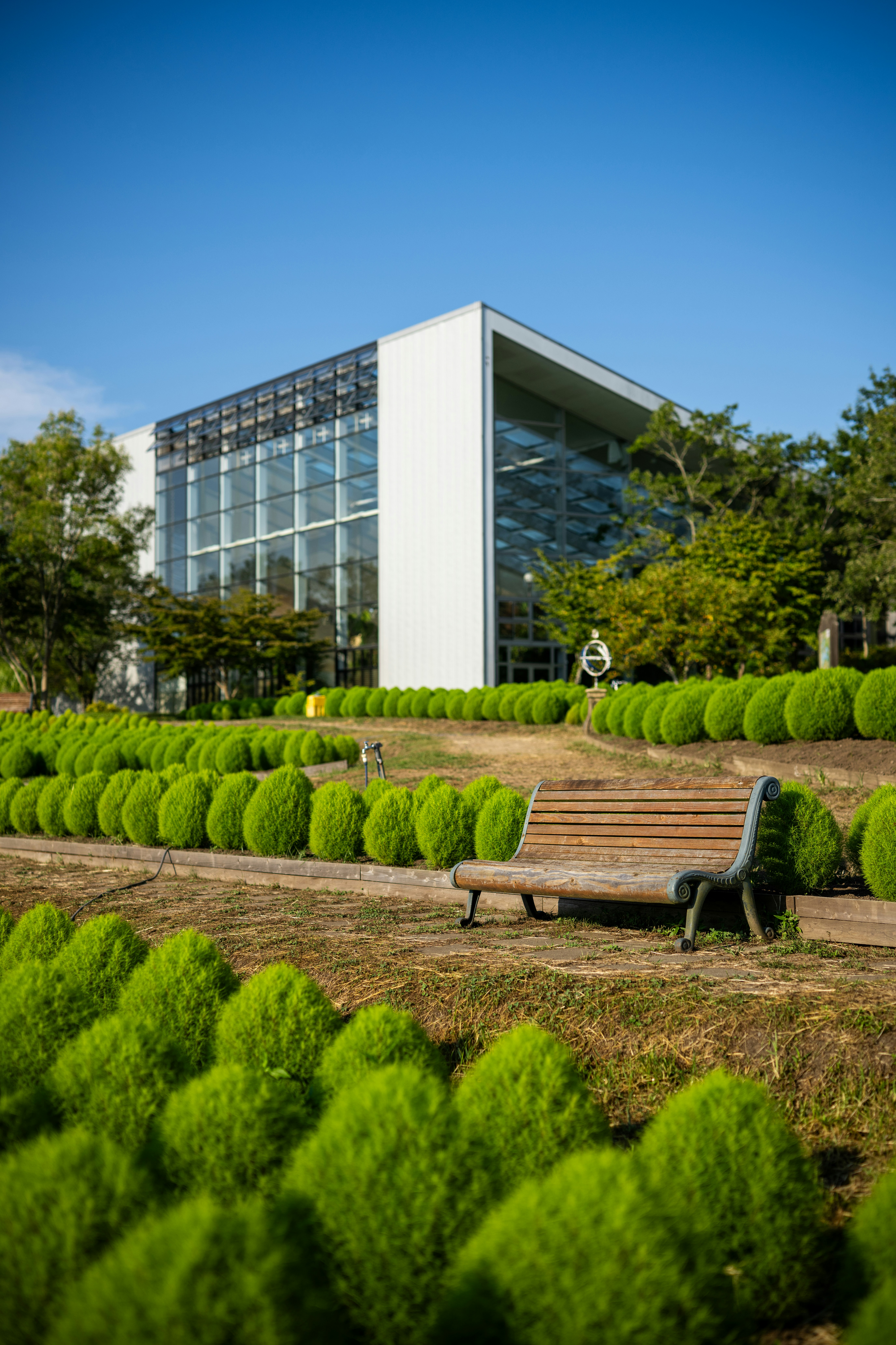 Serene Retreat Amidst Lush Greenery