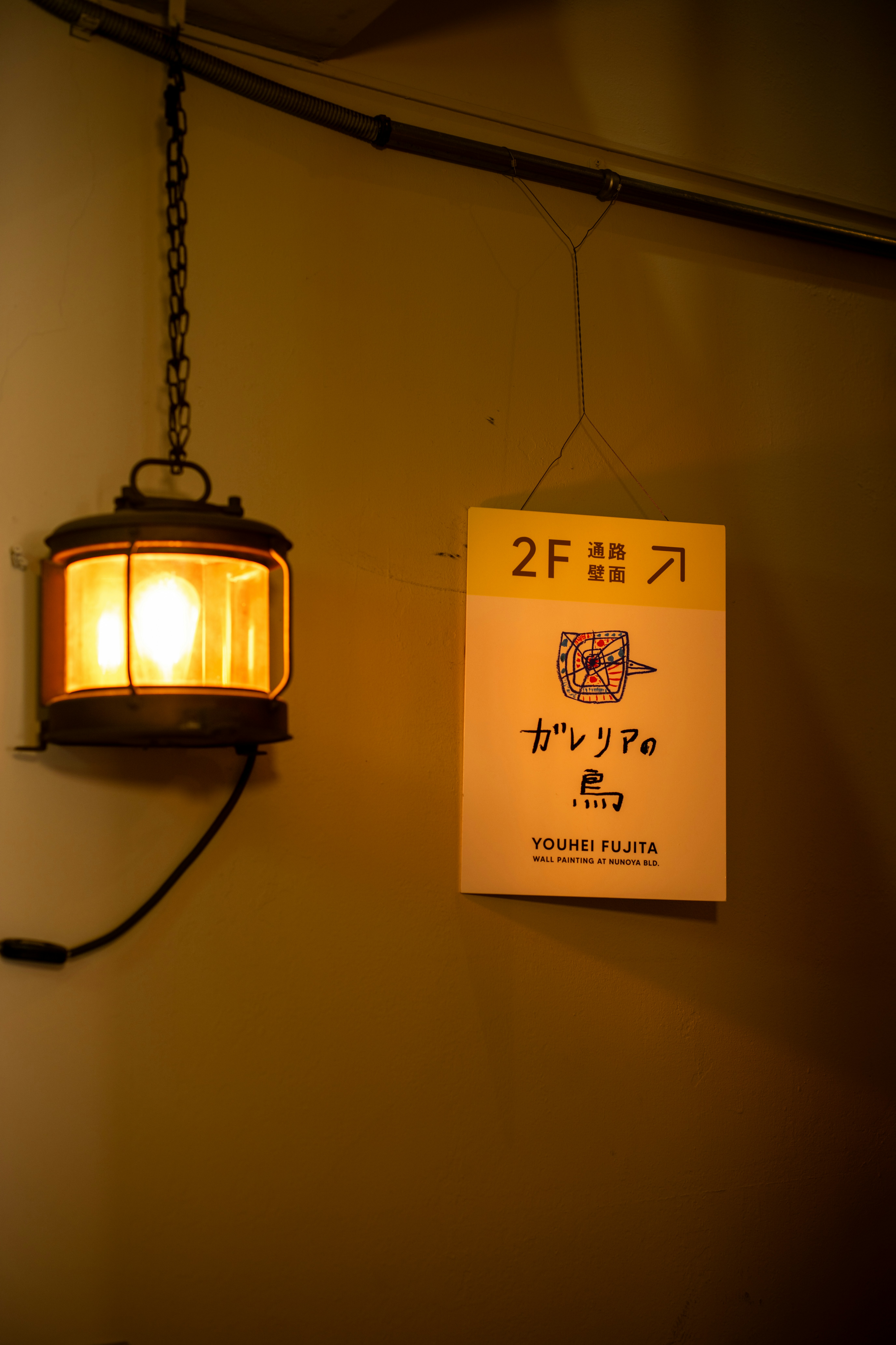 Guiding Light: A Passage to Youhei Fujita