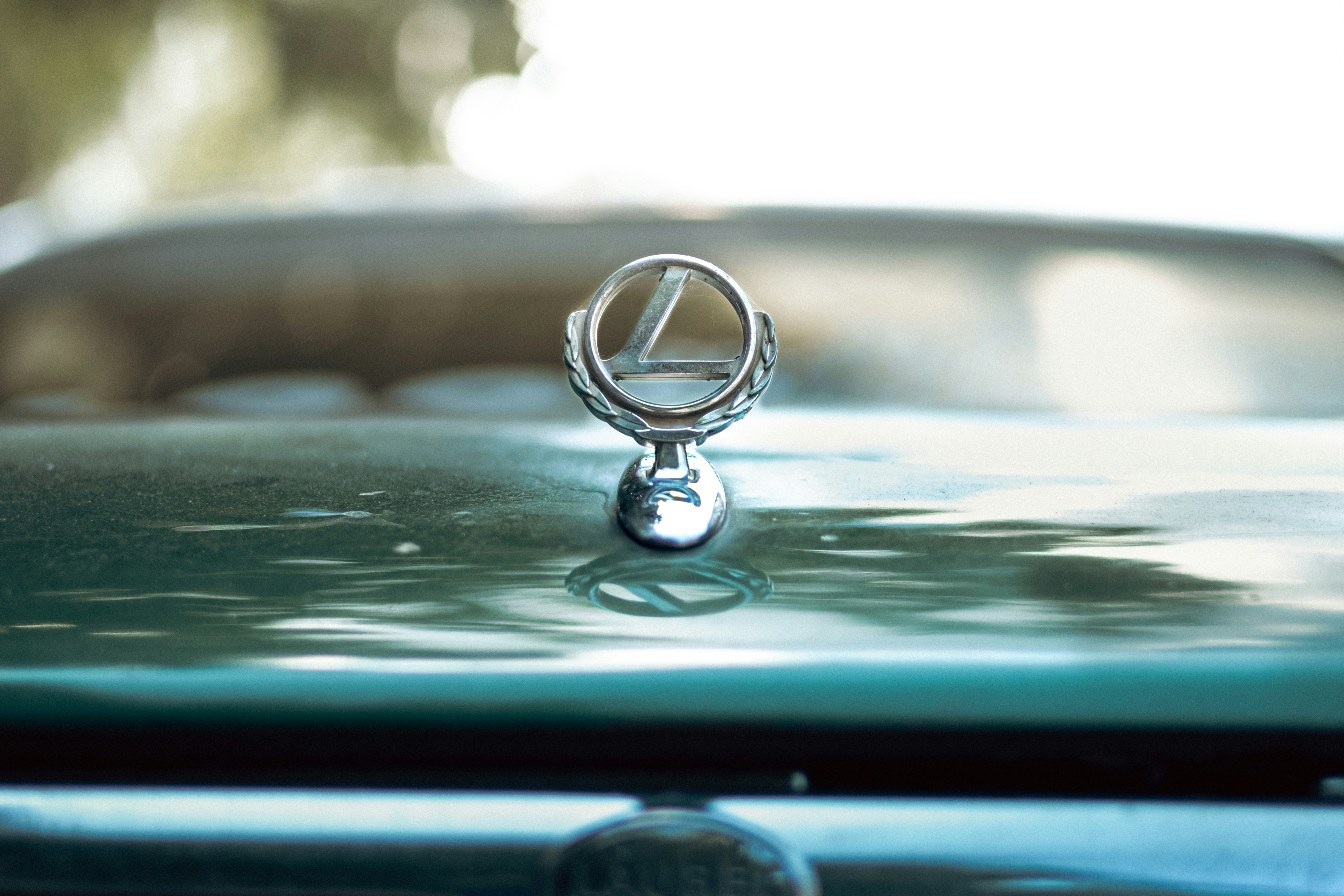 Elegance in Motion: The Iconic Emblem