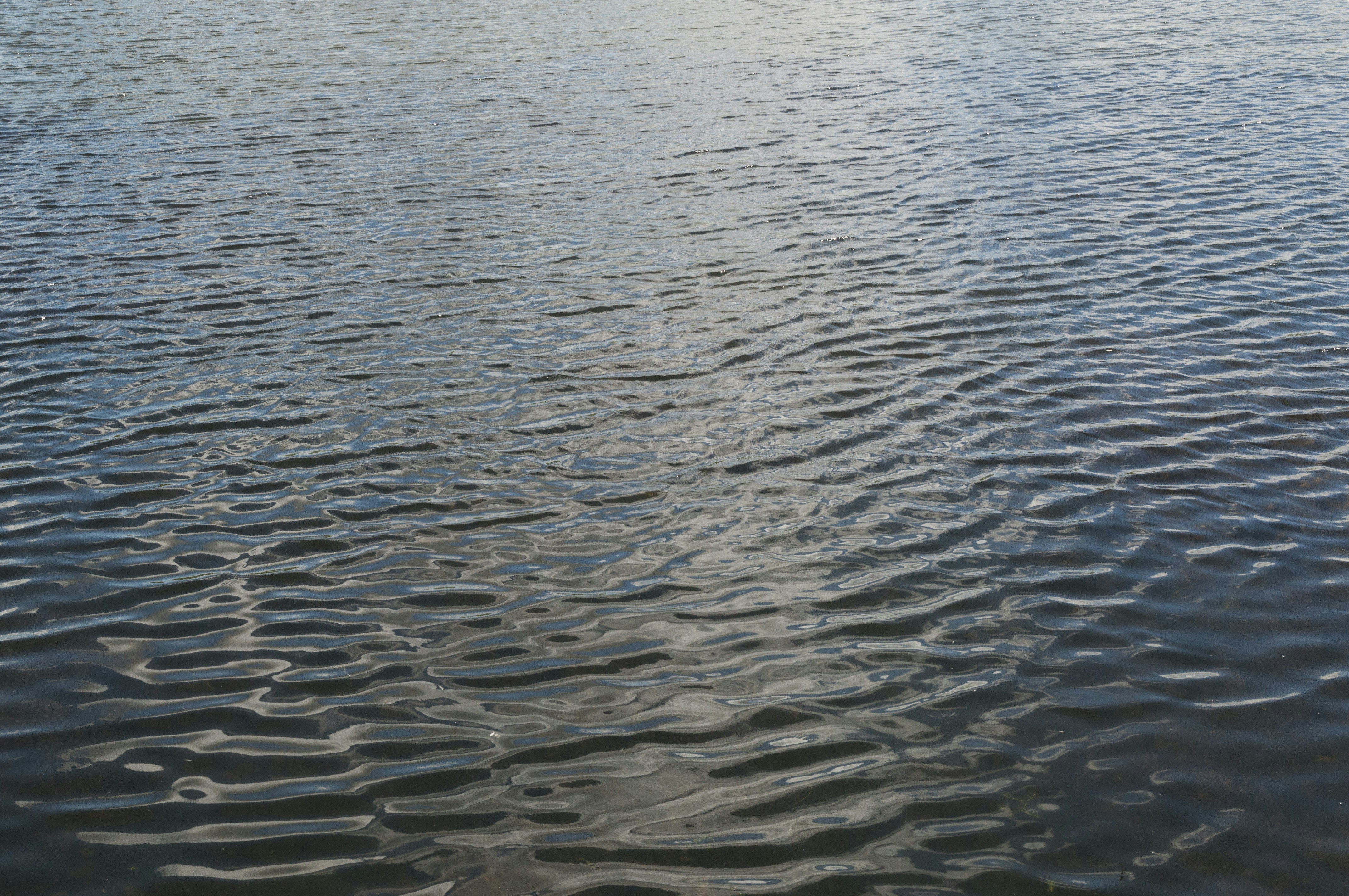 Reflections of Tranquility