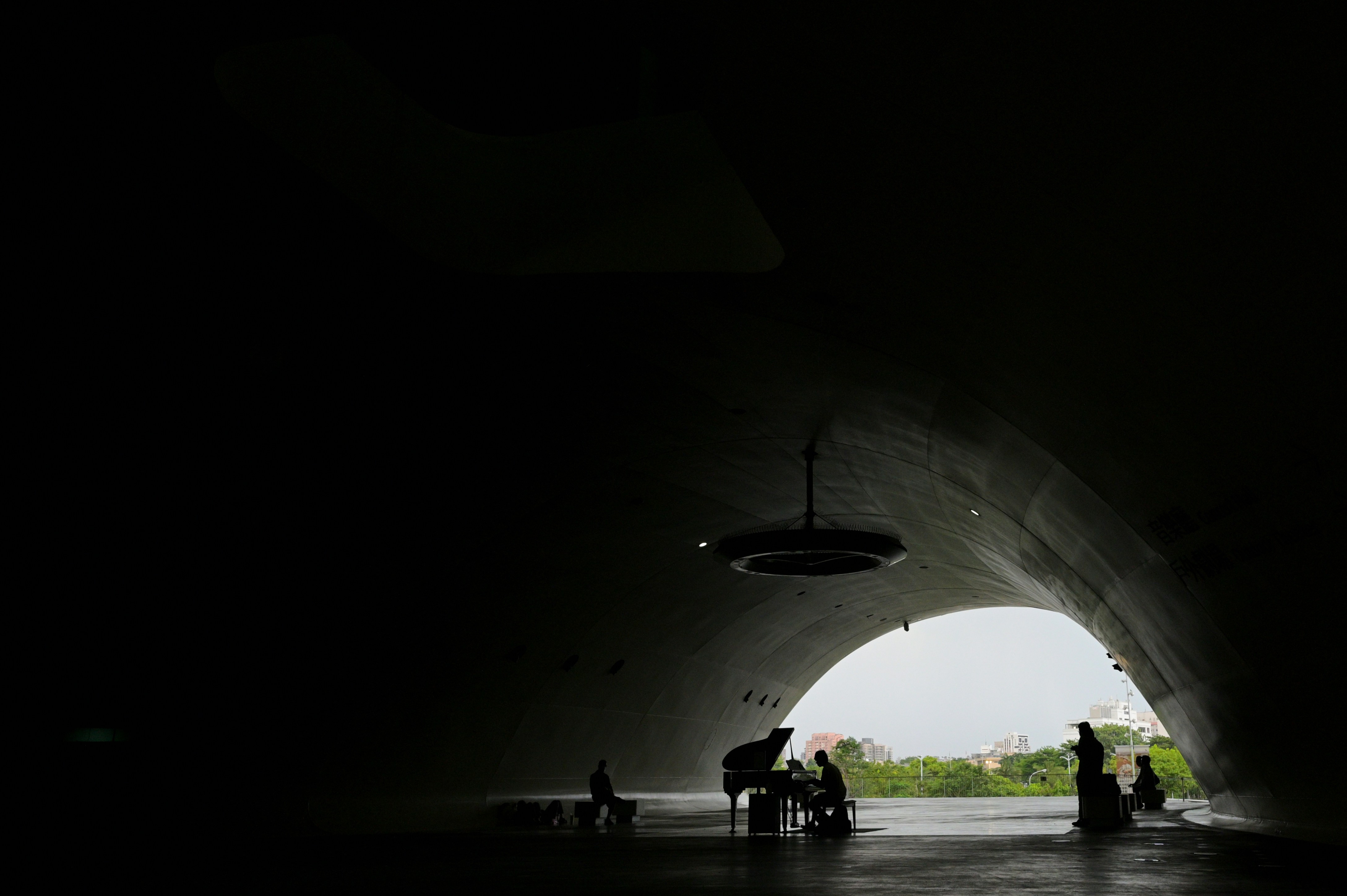 Melody in Shadows: A Serene Performance
