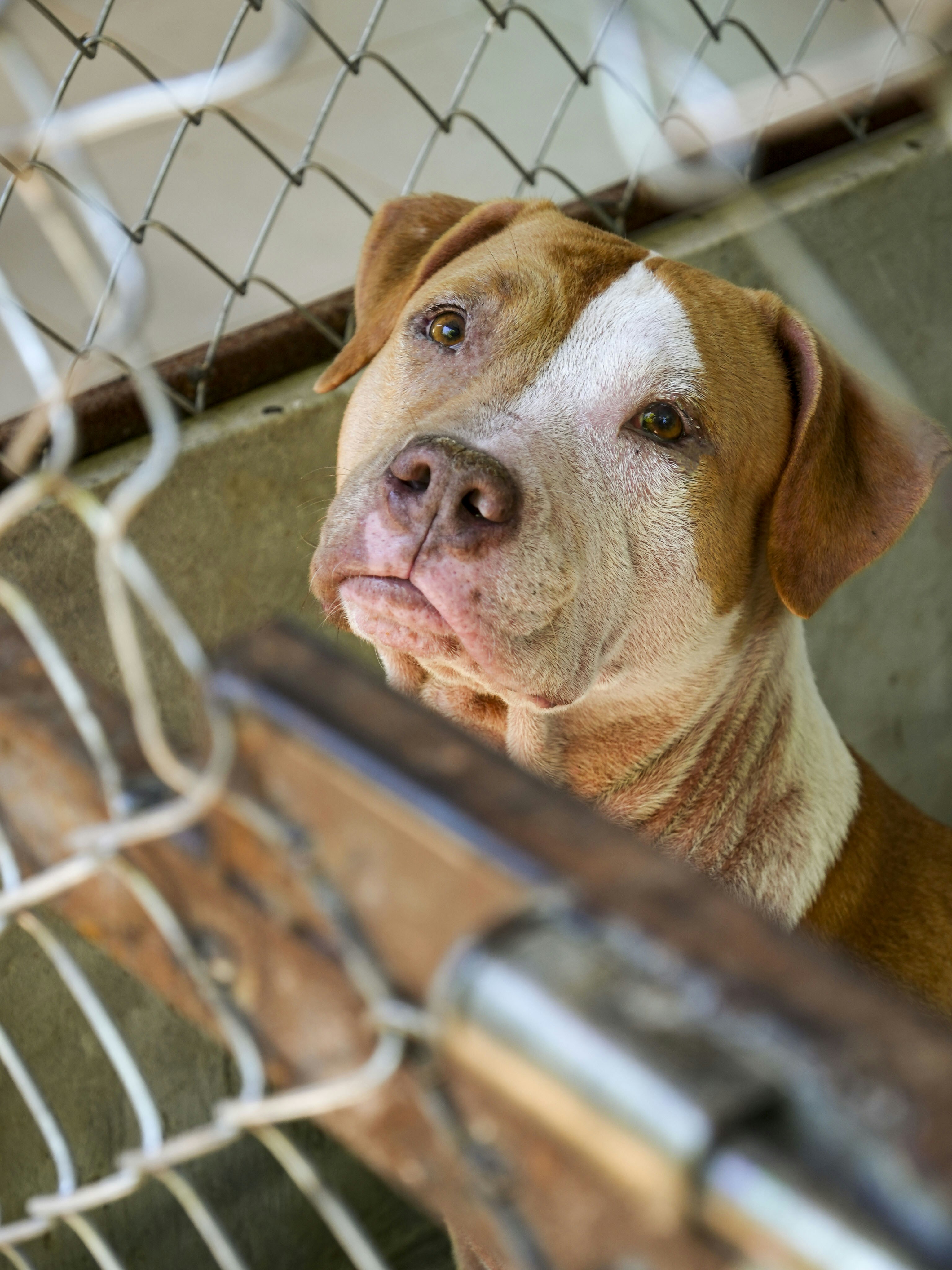 Photo by Anatoly Maltsev with Sony Alpha 7 IV