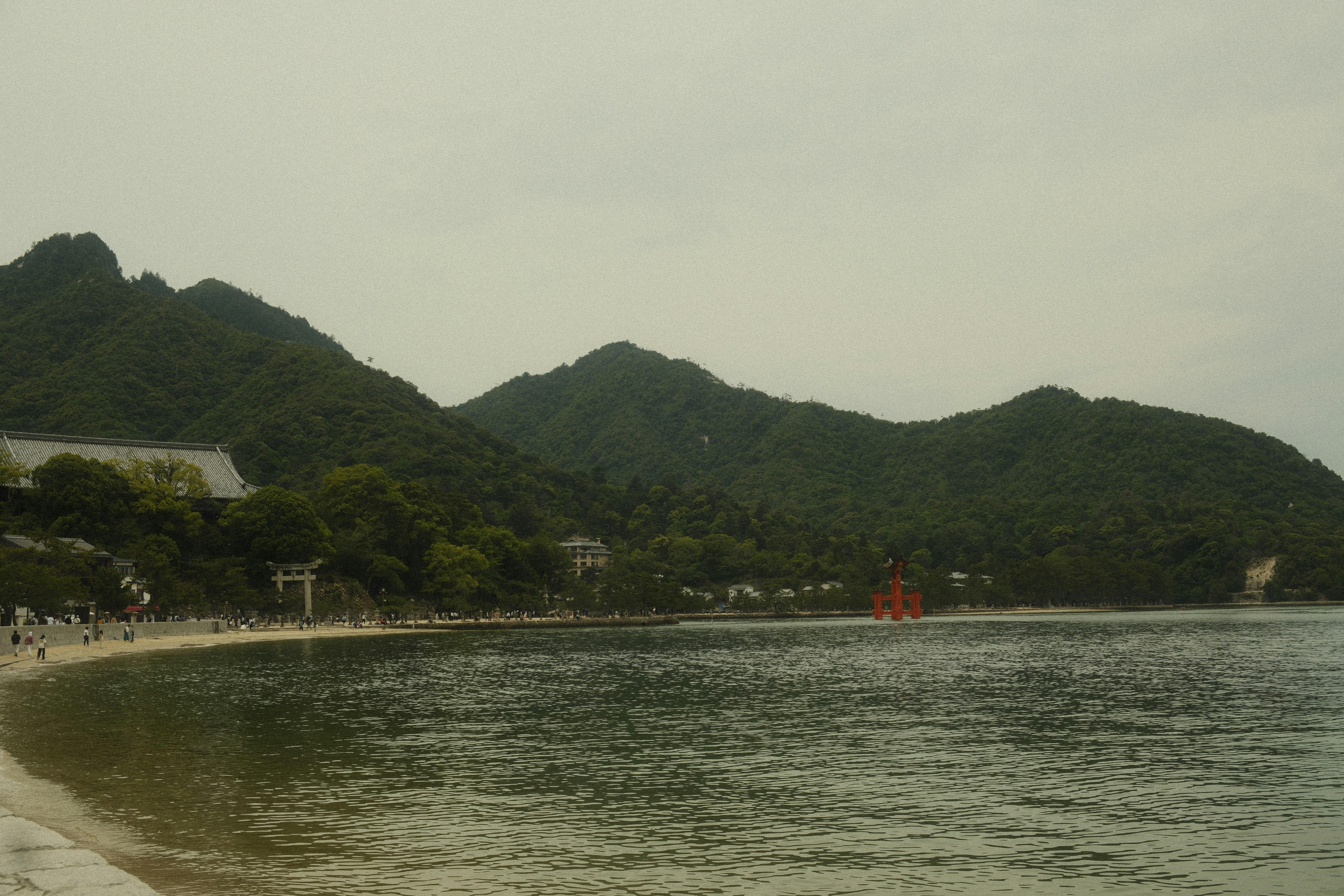 Harmony of Nature and Tradition by the Shore