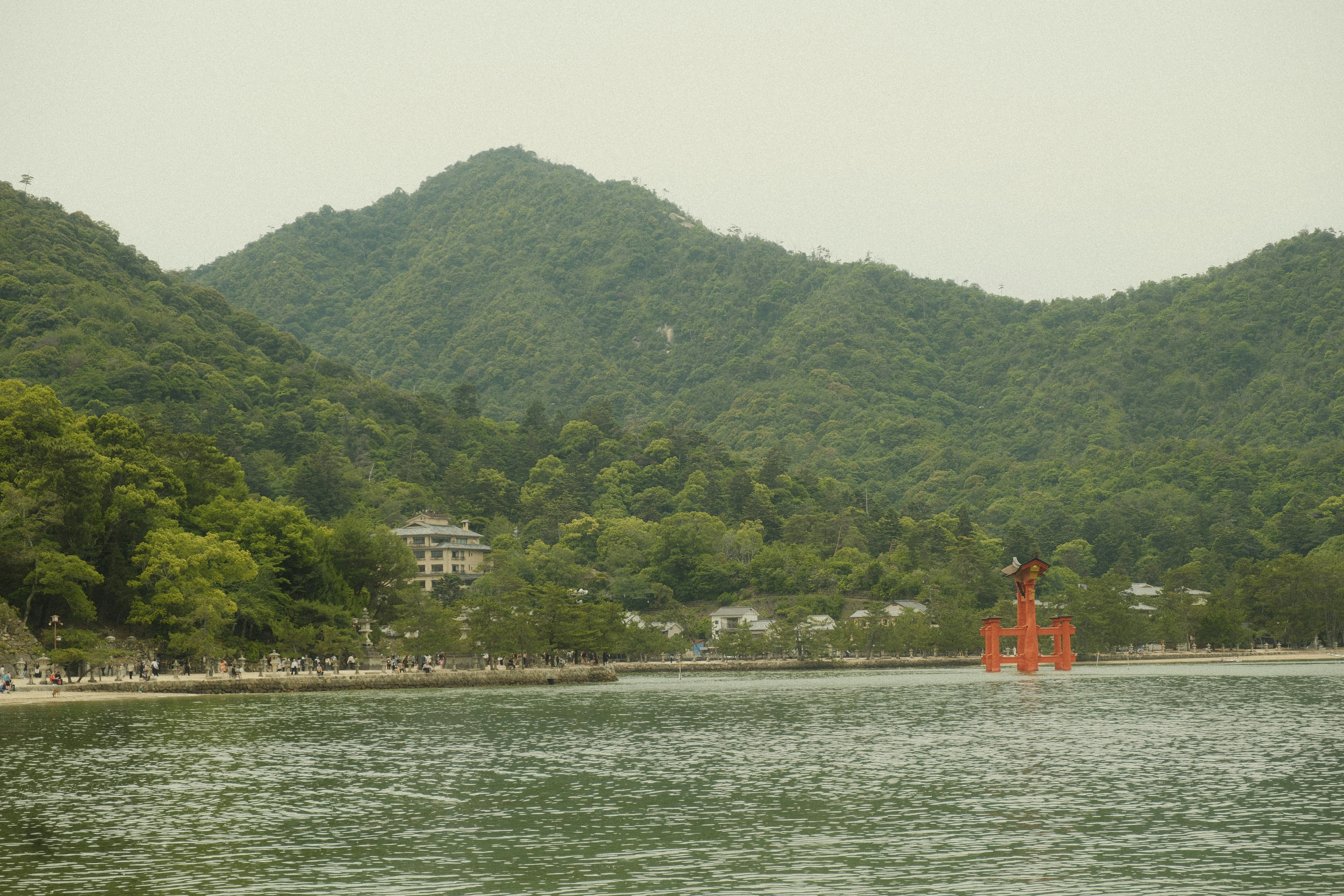 A red torii gate sits in the water.