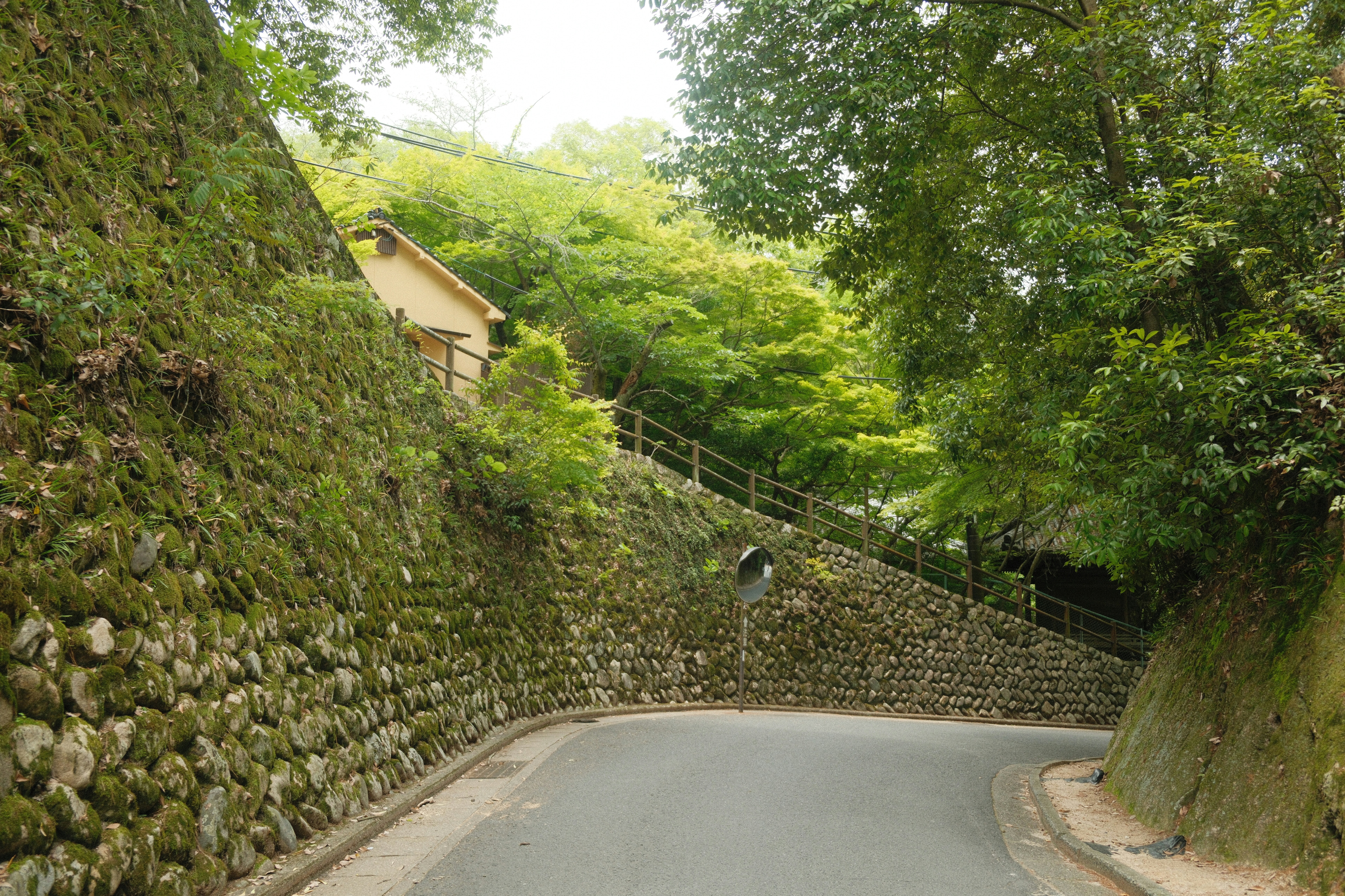 A winding road leads through a lush landscape.