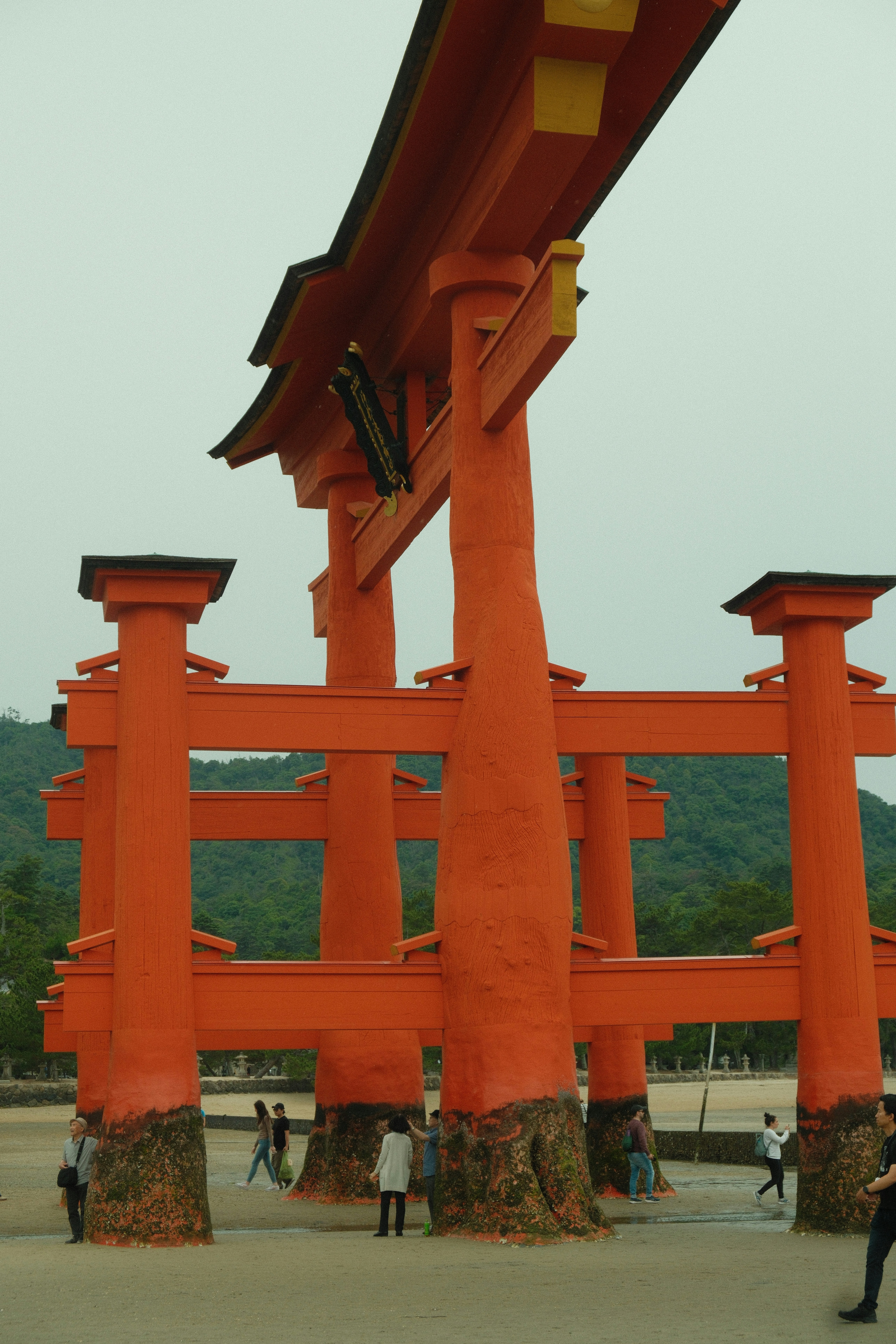 Vibrant orange torii gate stands tall against a serene backdrop, with visitors exploring its monumental presence. The structure's roots are partially submerged in water, adding to its mystique.