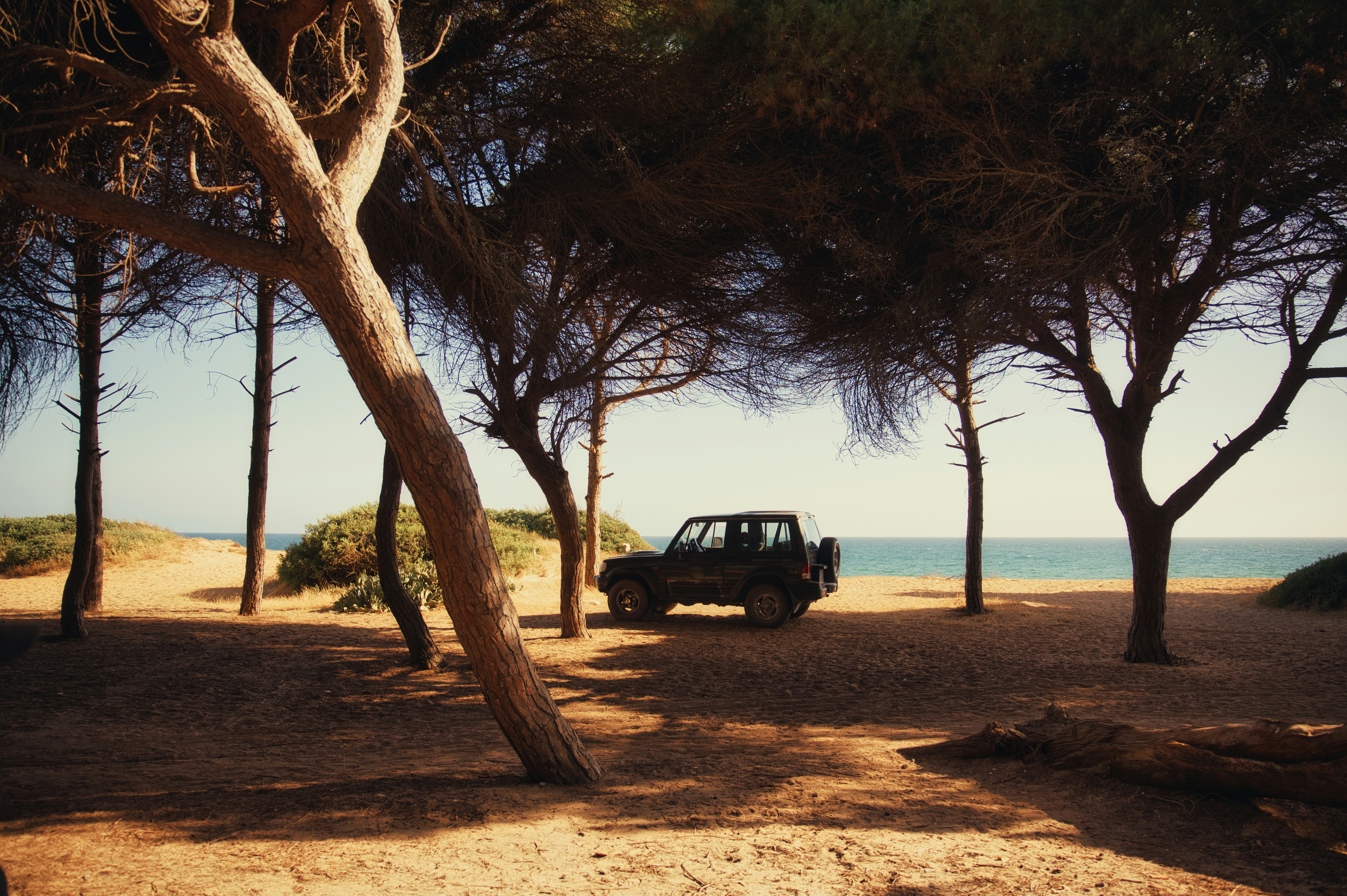 Secluded Coastal Retreat: A Vehicle's Quiet Respite