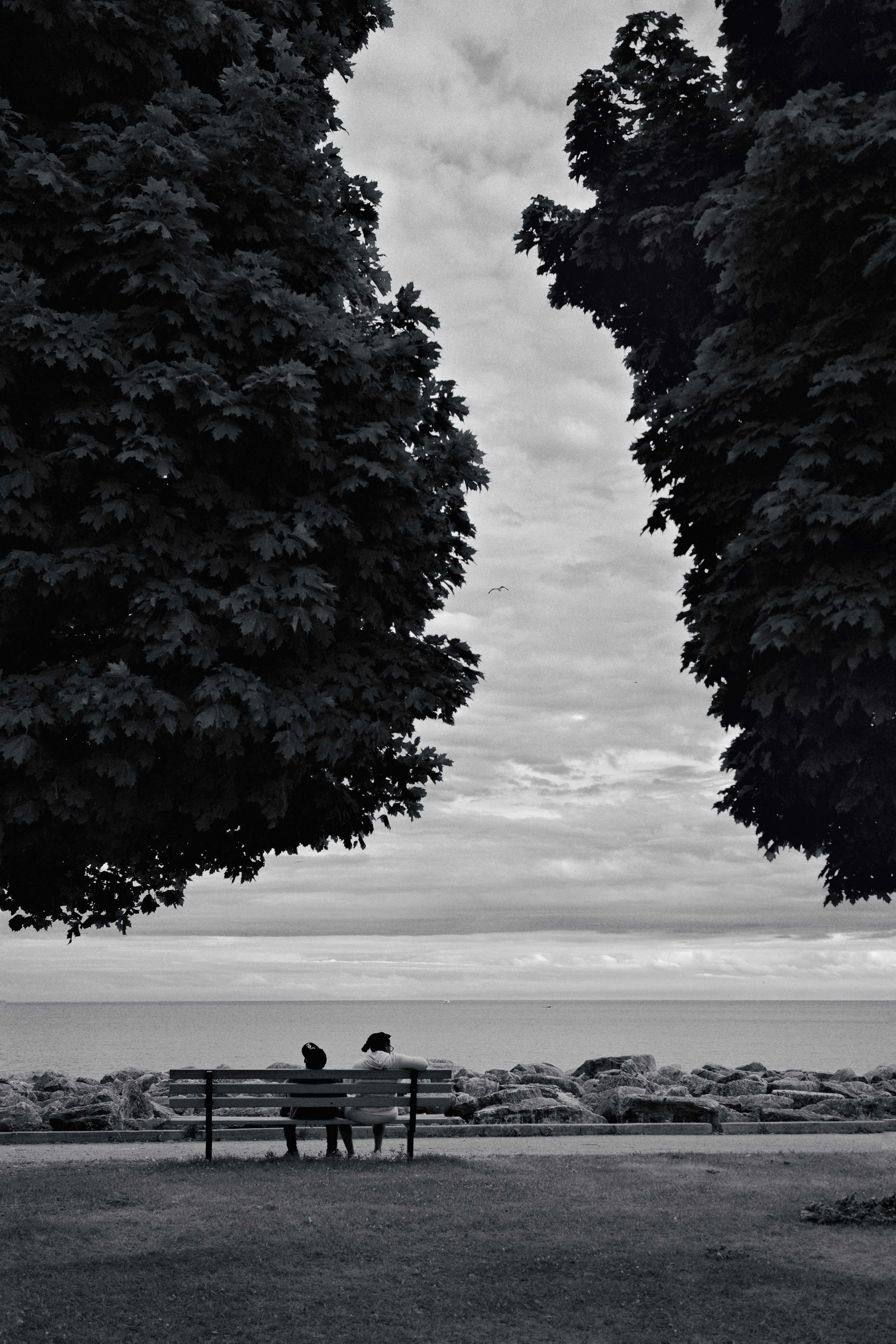 Silent Conversations by the Shore