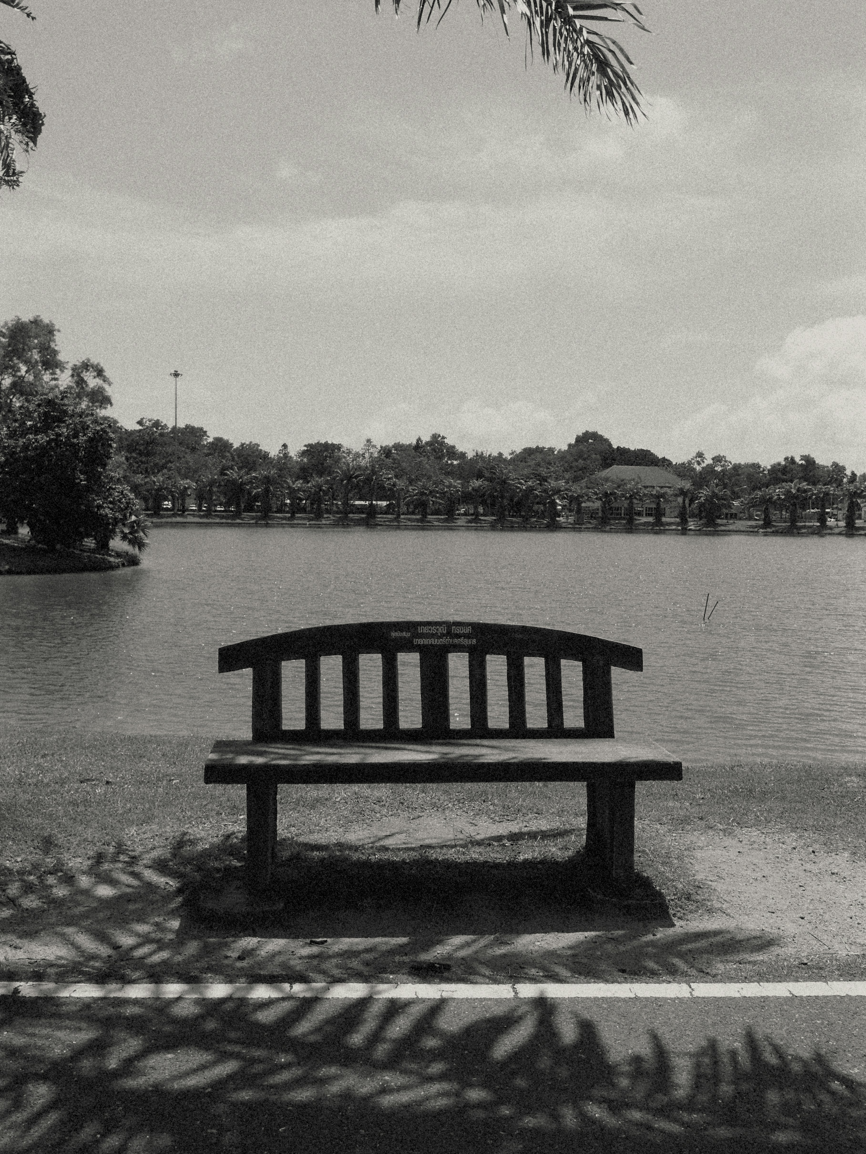 A solitary bench by the water, captured in monochrome. The shadows of palm leaves create a natural frame, while the calm lake and distant trees evoke a sense of stillness and quiet contemplation. A minimalist scene filled with subtle emotion. | A bench sits beside a serene lake.