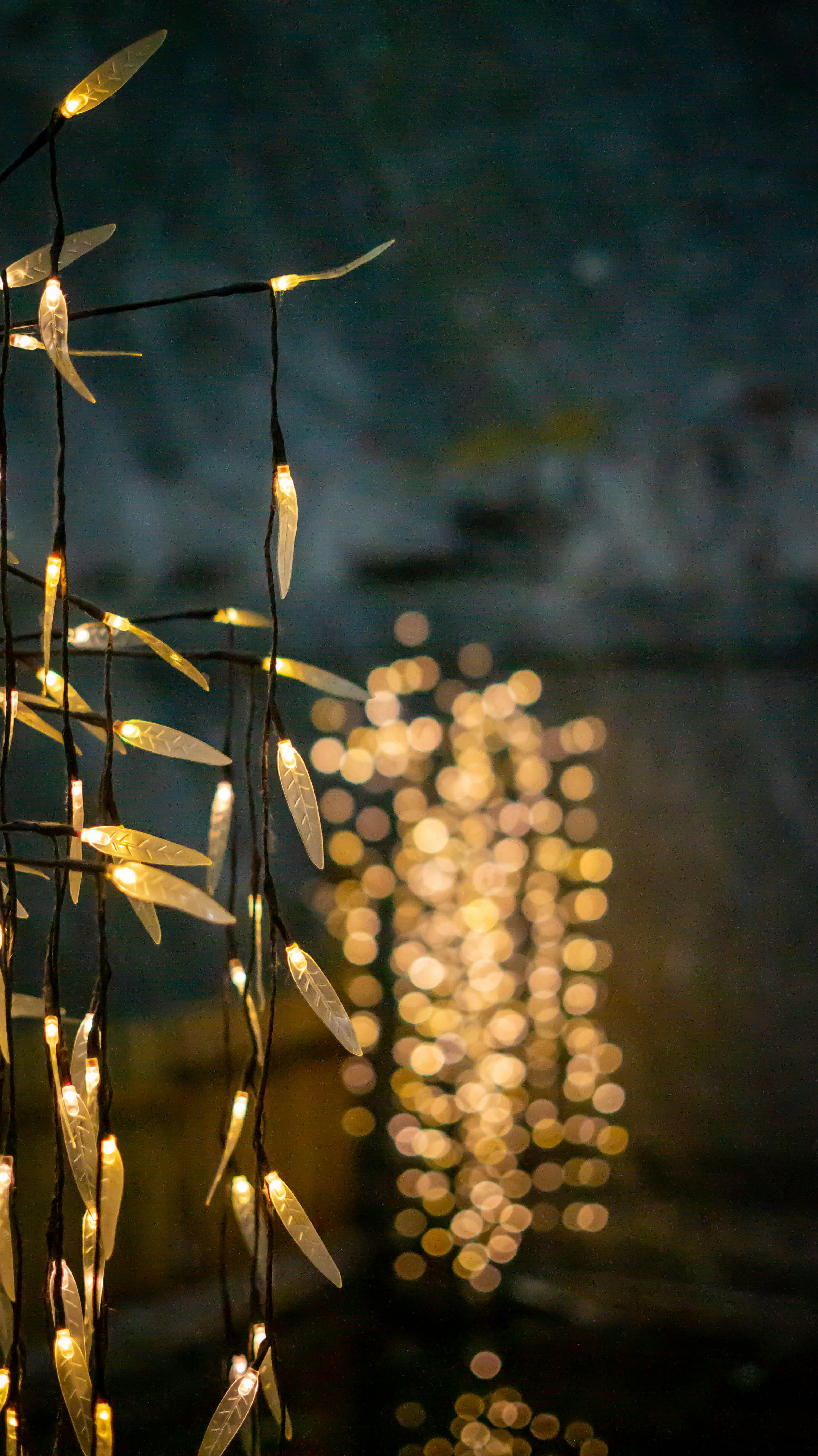 Whispers of Light: A Twinkling Elegance