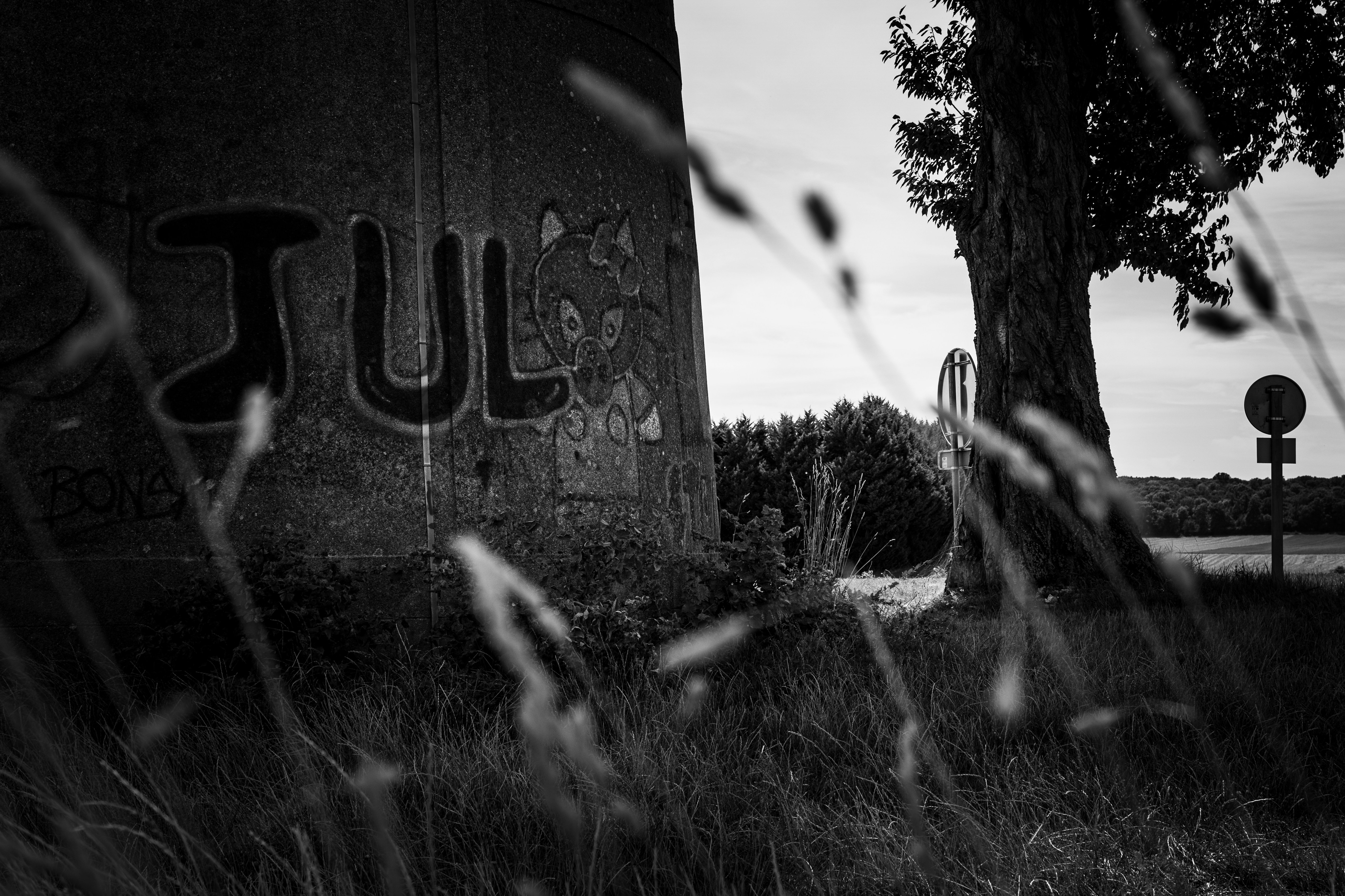 Whispers of Urban Decay