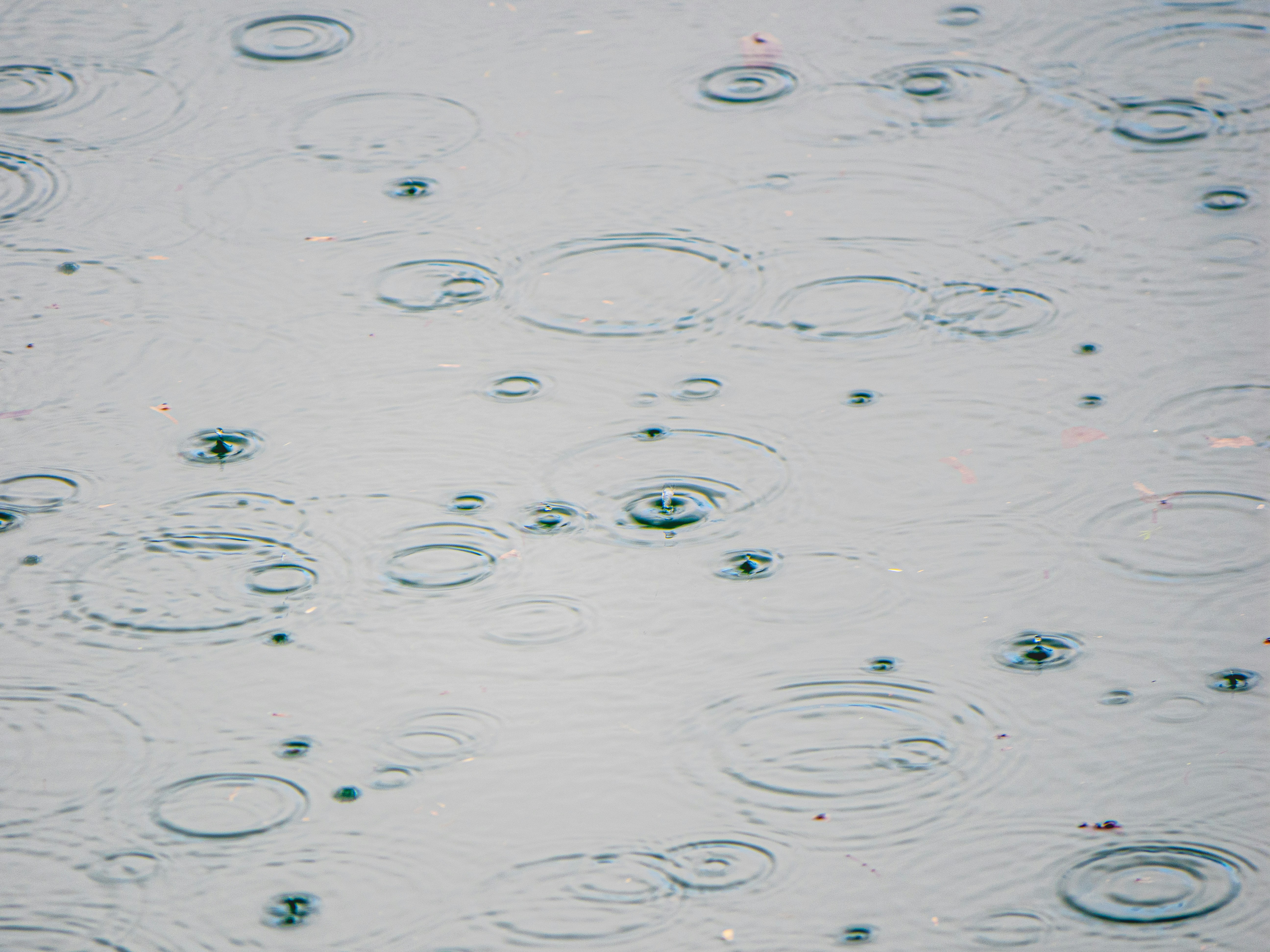Raindrops create ripples on water's surface.