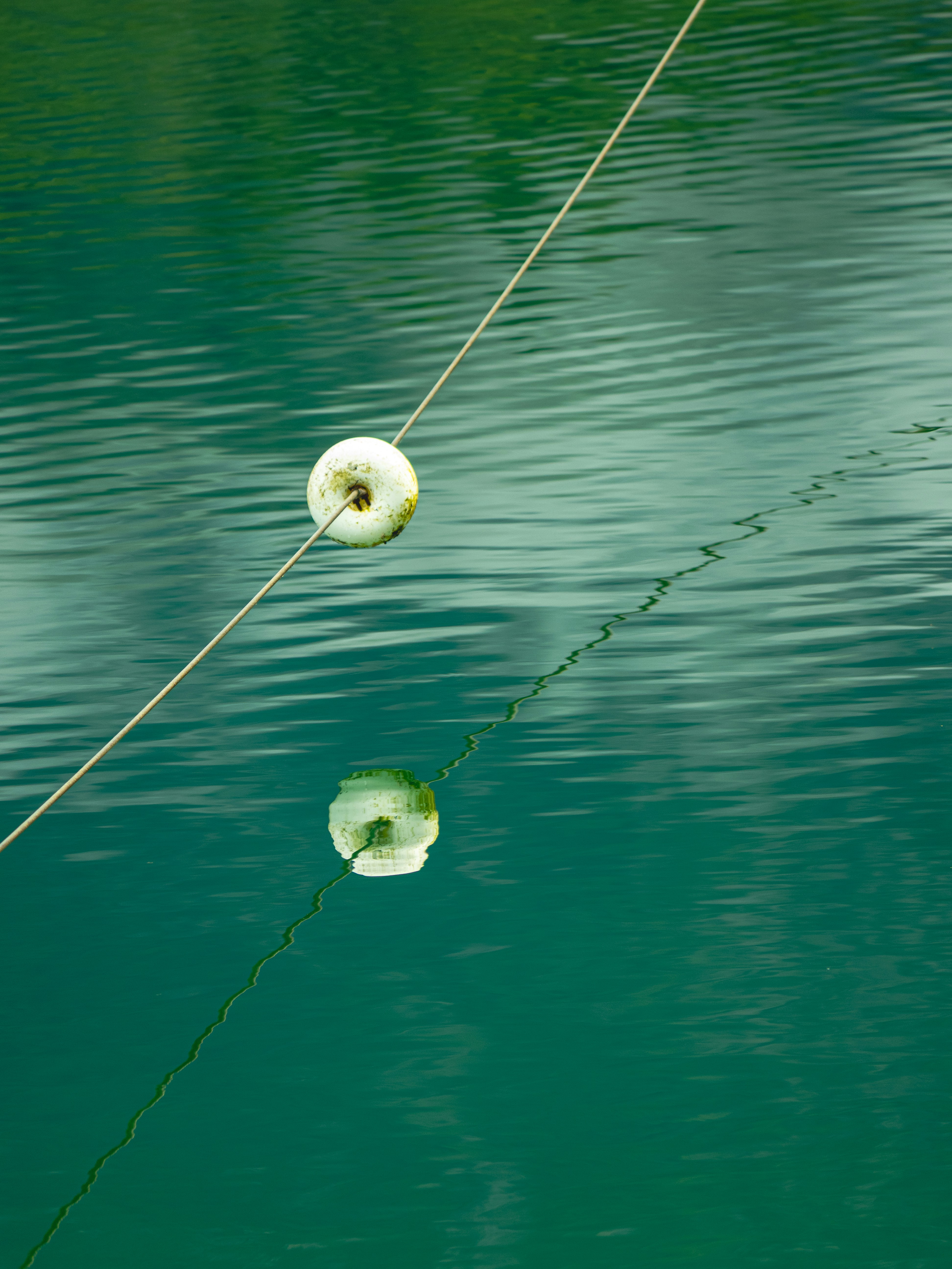 A white buoy floats above the water.