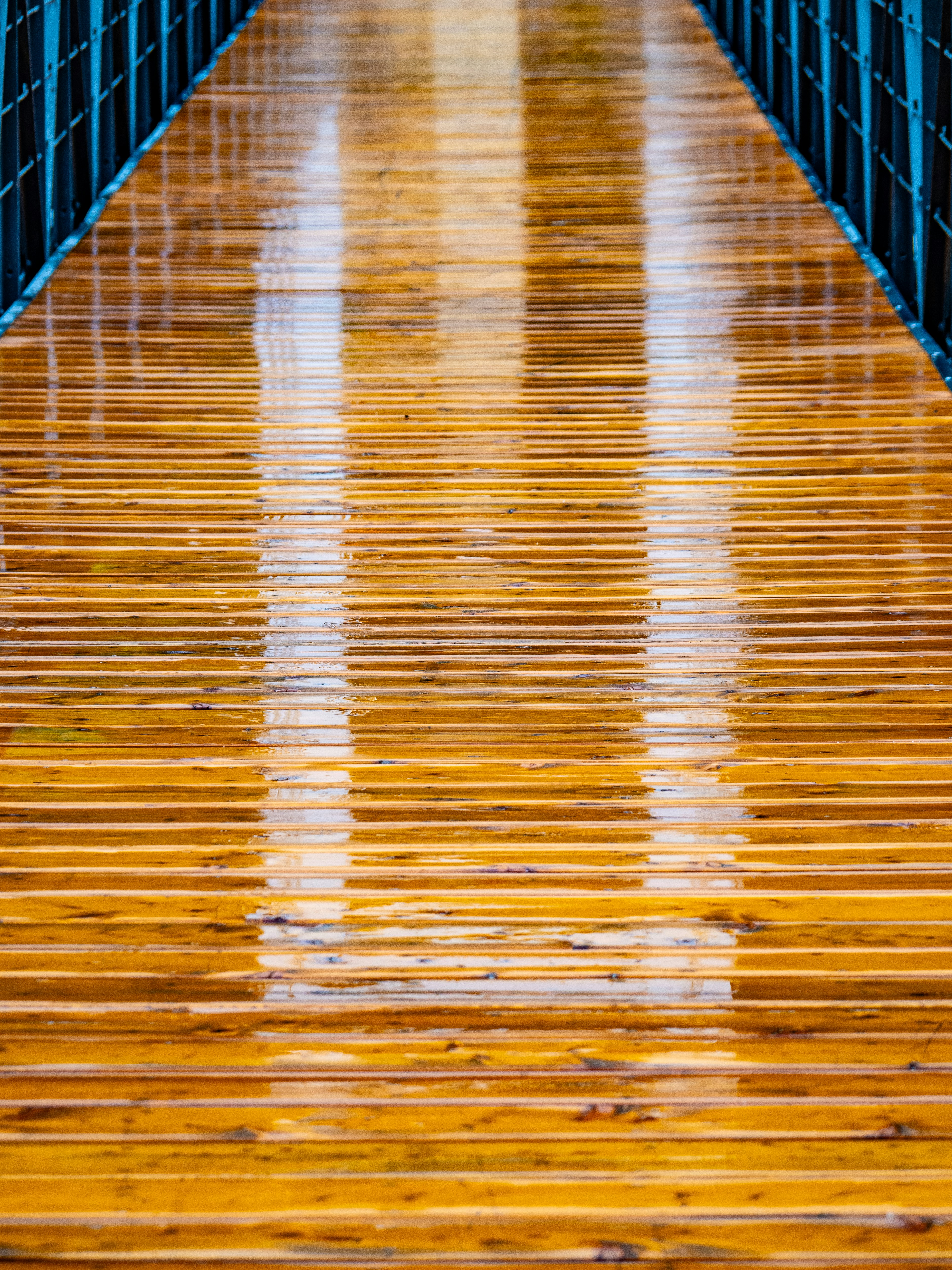 Reflections on a Wooden Pathway