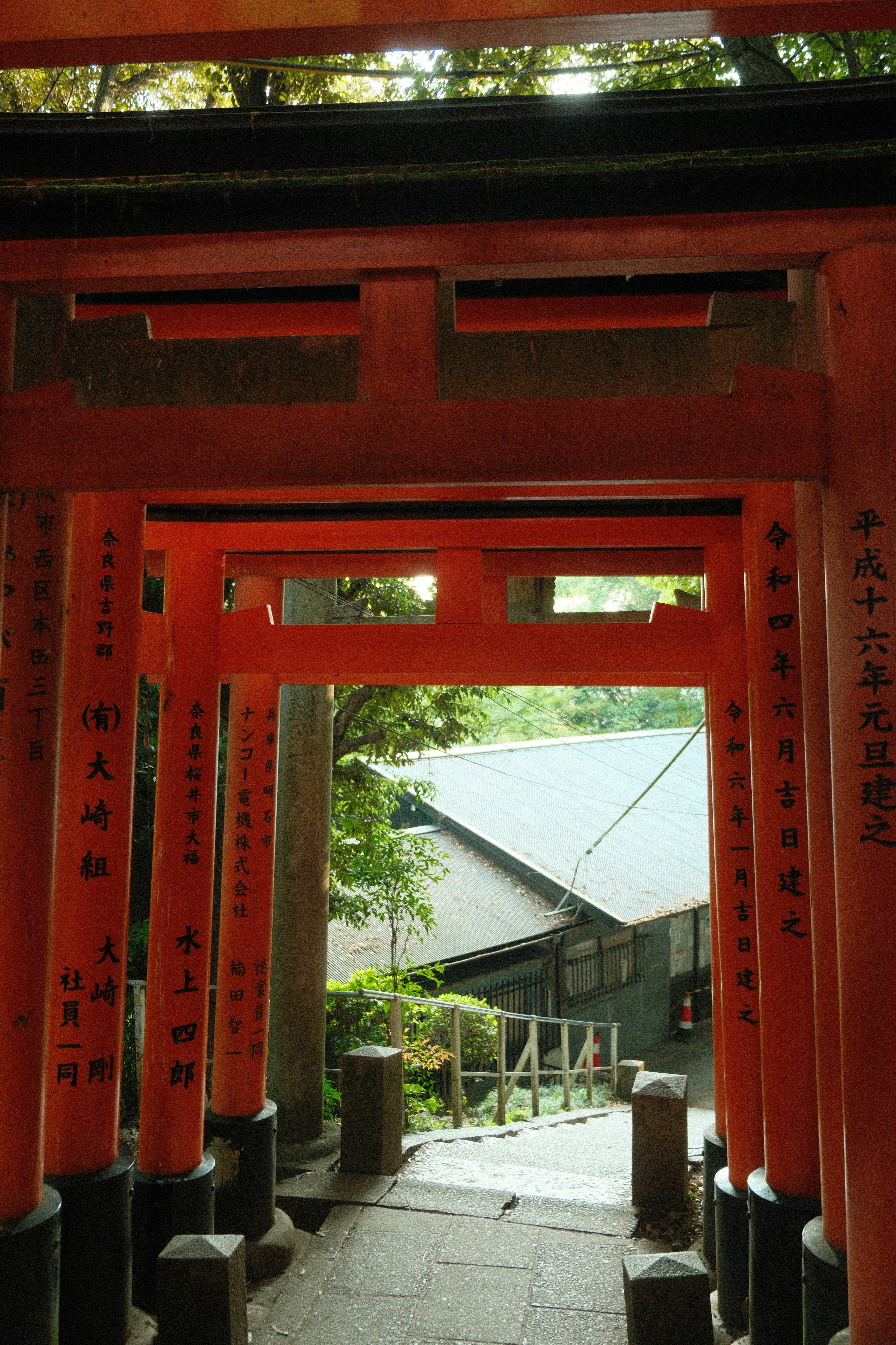 Red torii gates lead to a building.