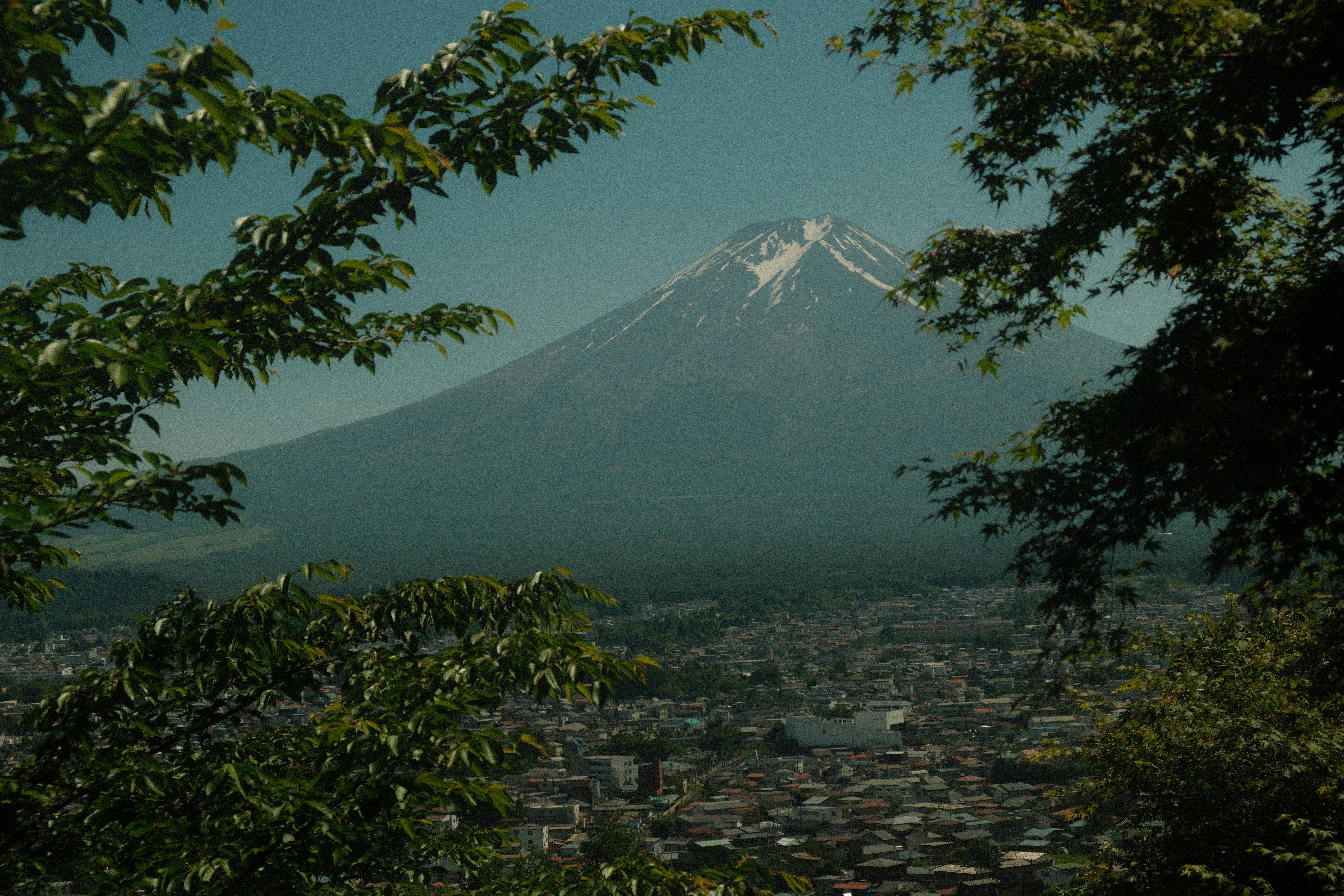 Majestic Ascent: A Glimpse of Nature's Pinnacle