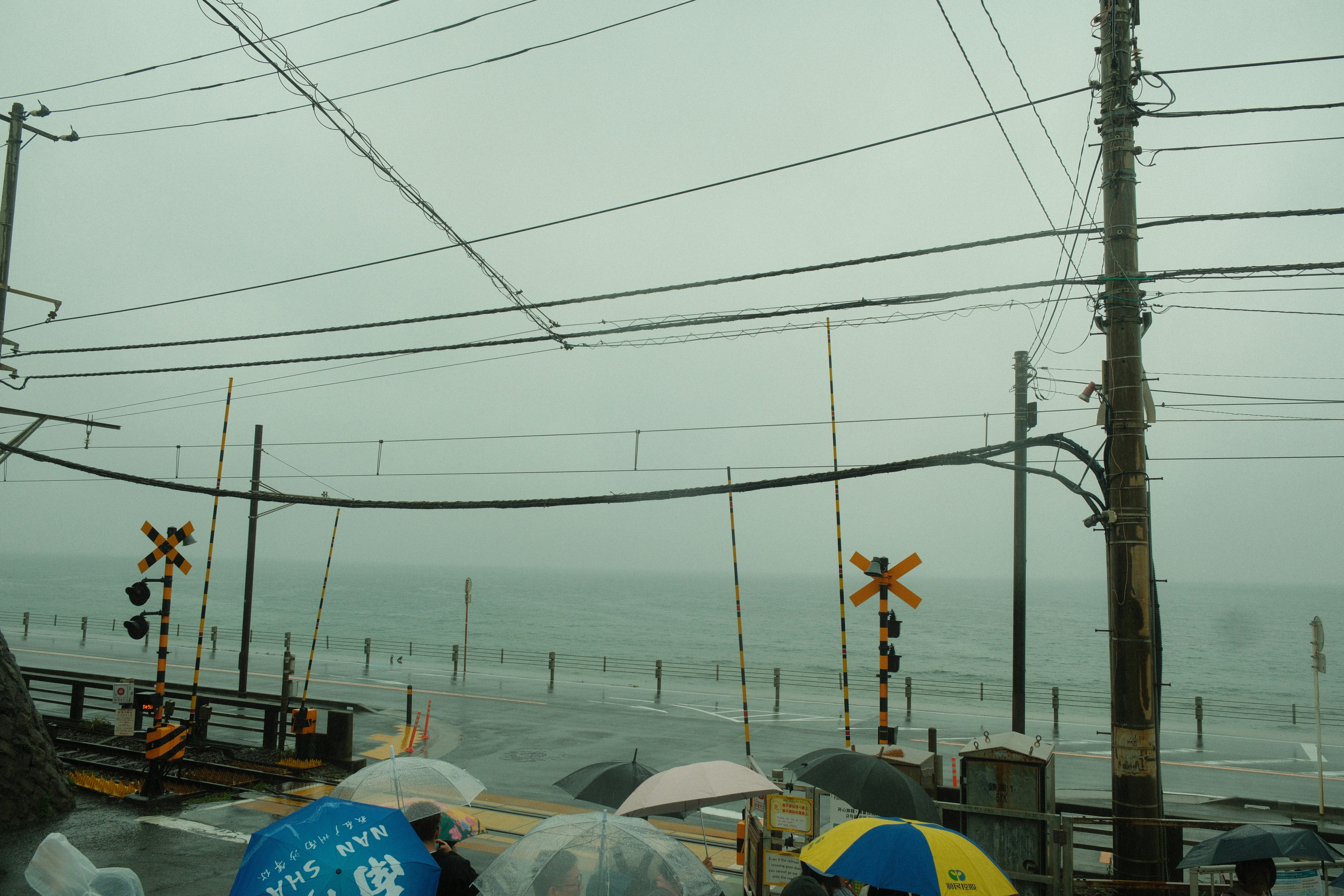 Veiled Horizons: A Rainy Day at the Crossing