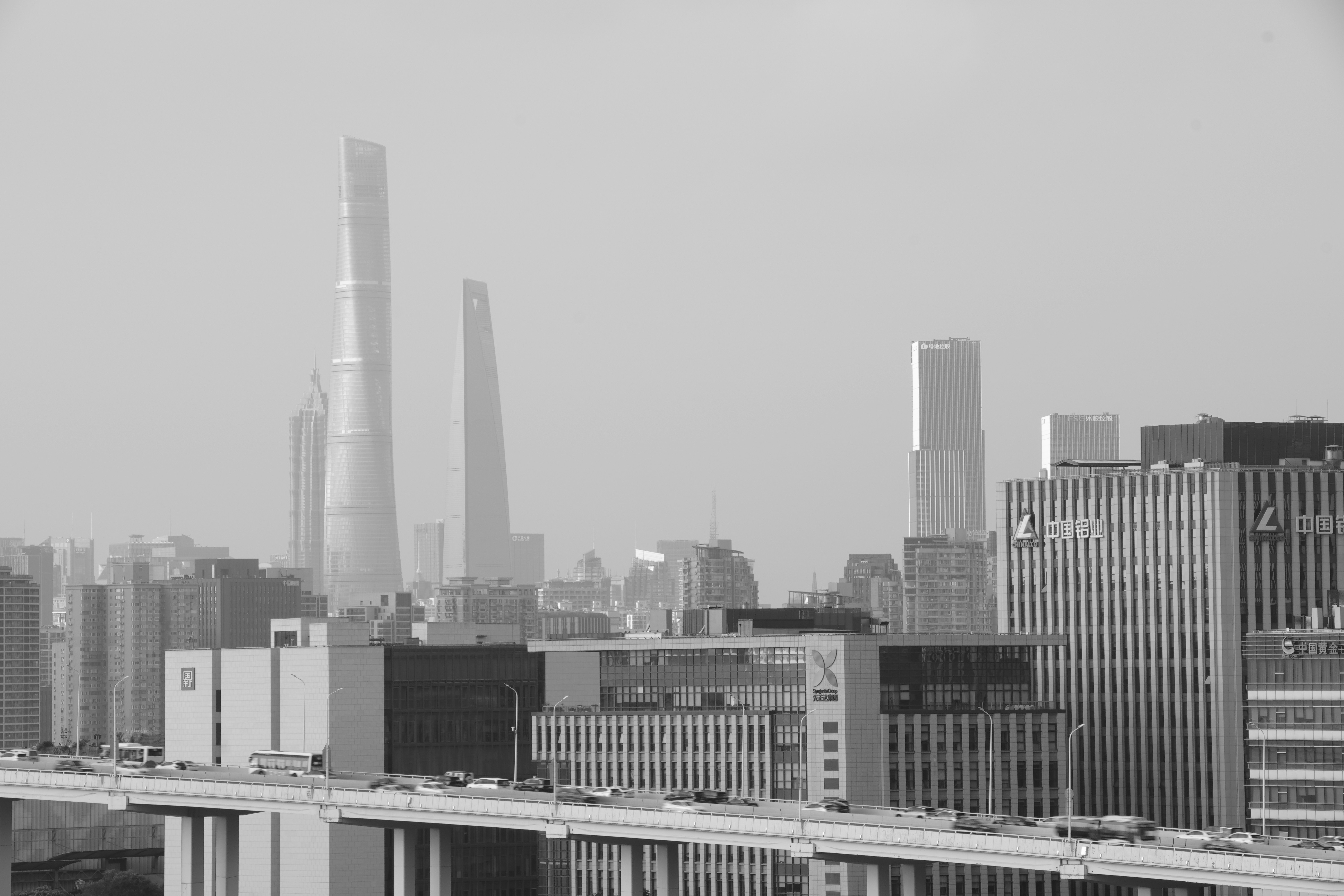 Urban Silhouettes: A Monochrome Cityscape