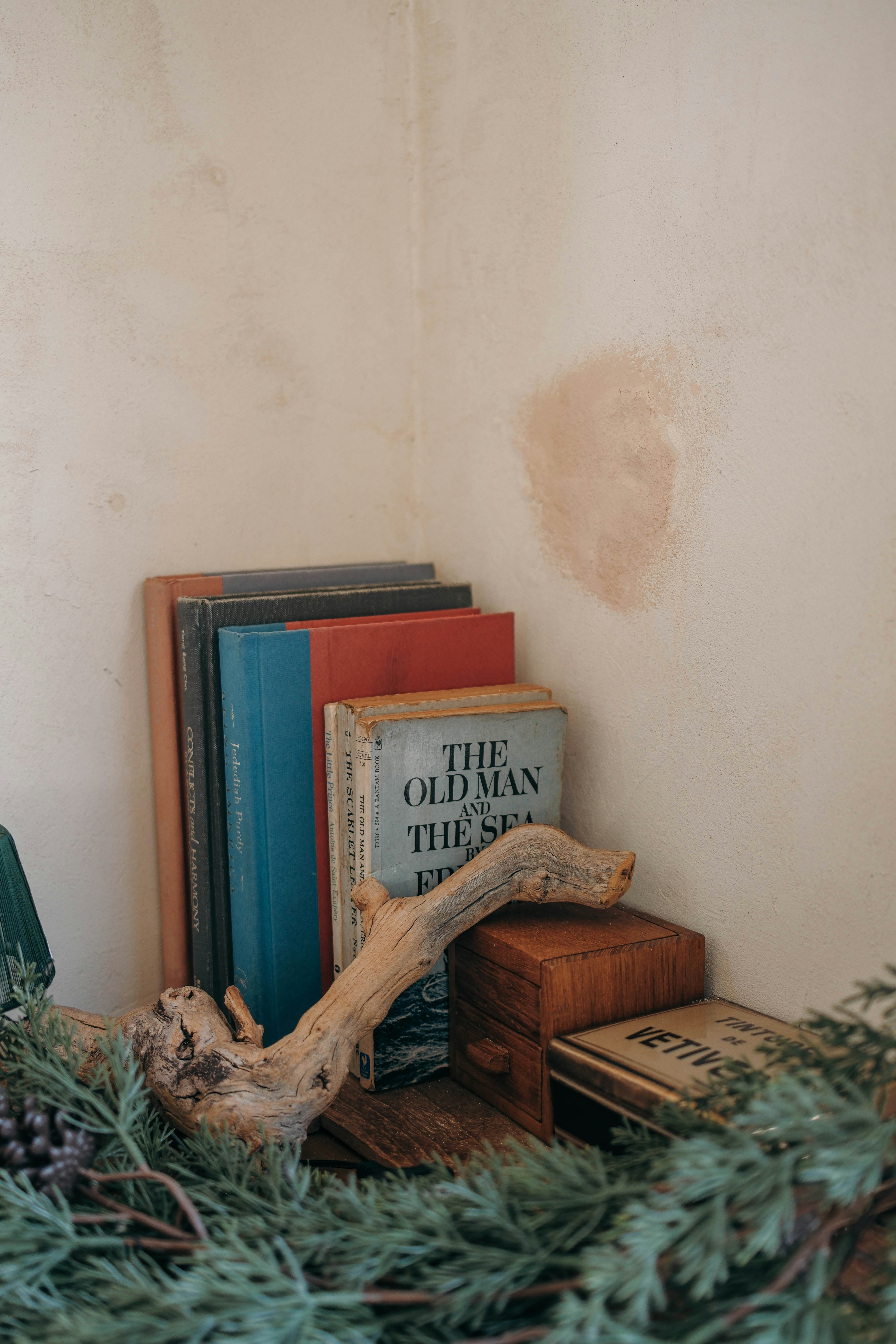 A Quiet Corner of Literary Treasures